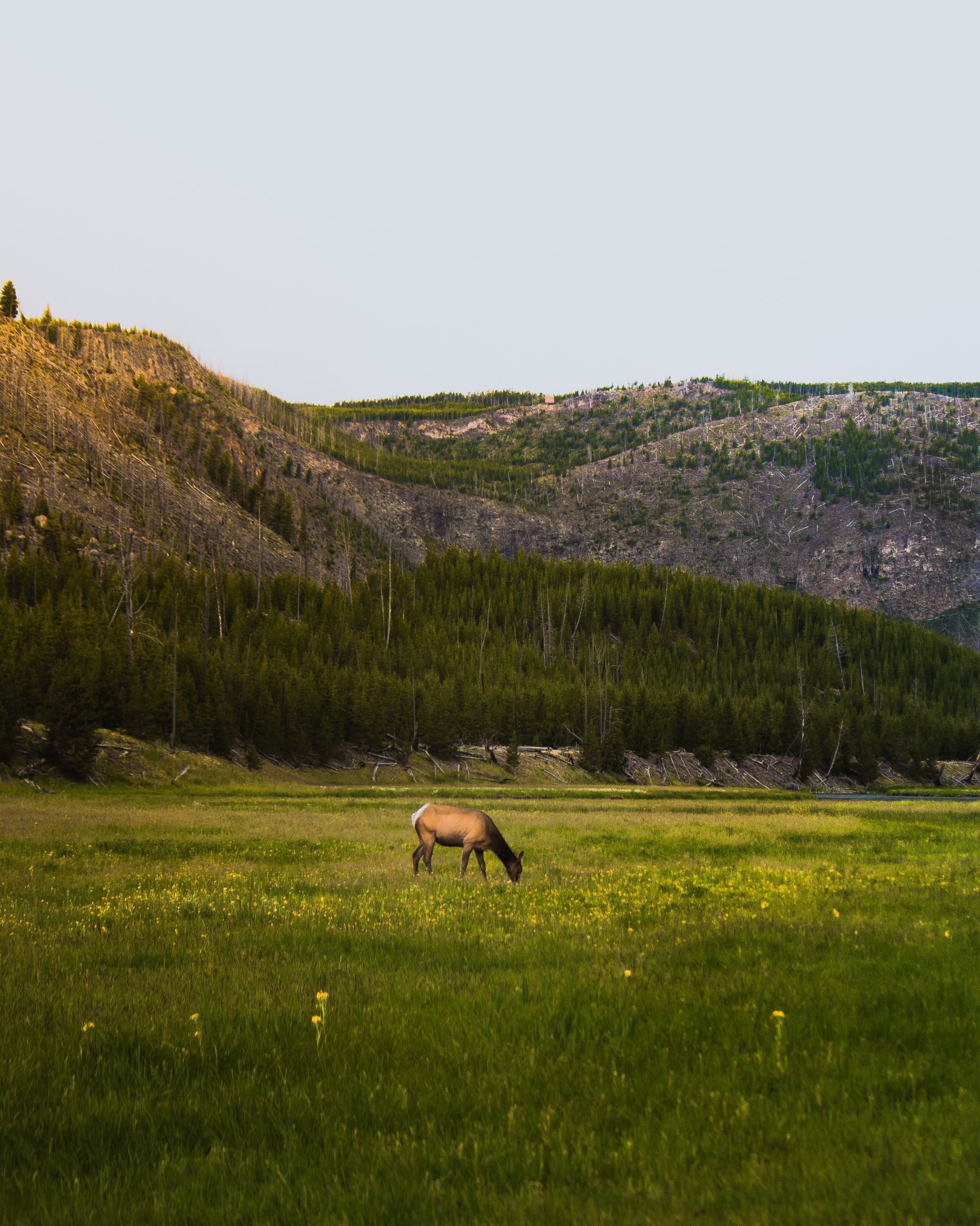 Live Out Your Yellowstone Dreams at a Real-Life Ranch Experience