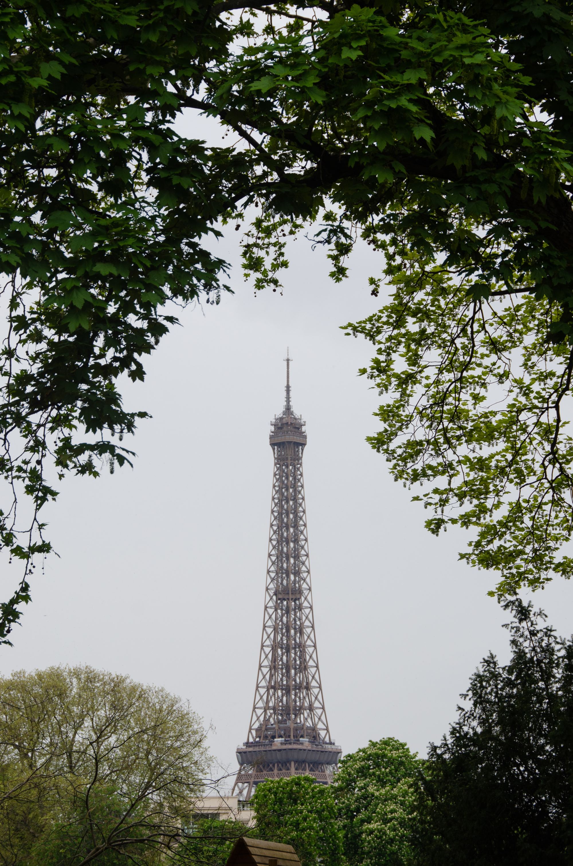 Starter's Guide To Paris, France