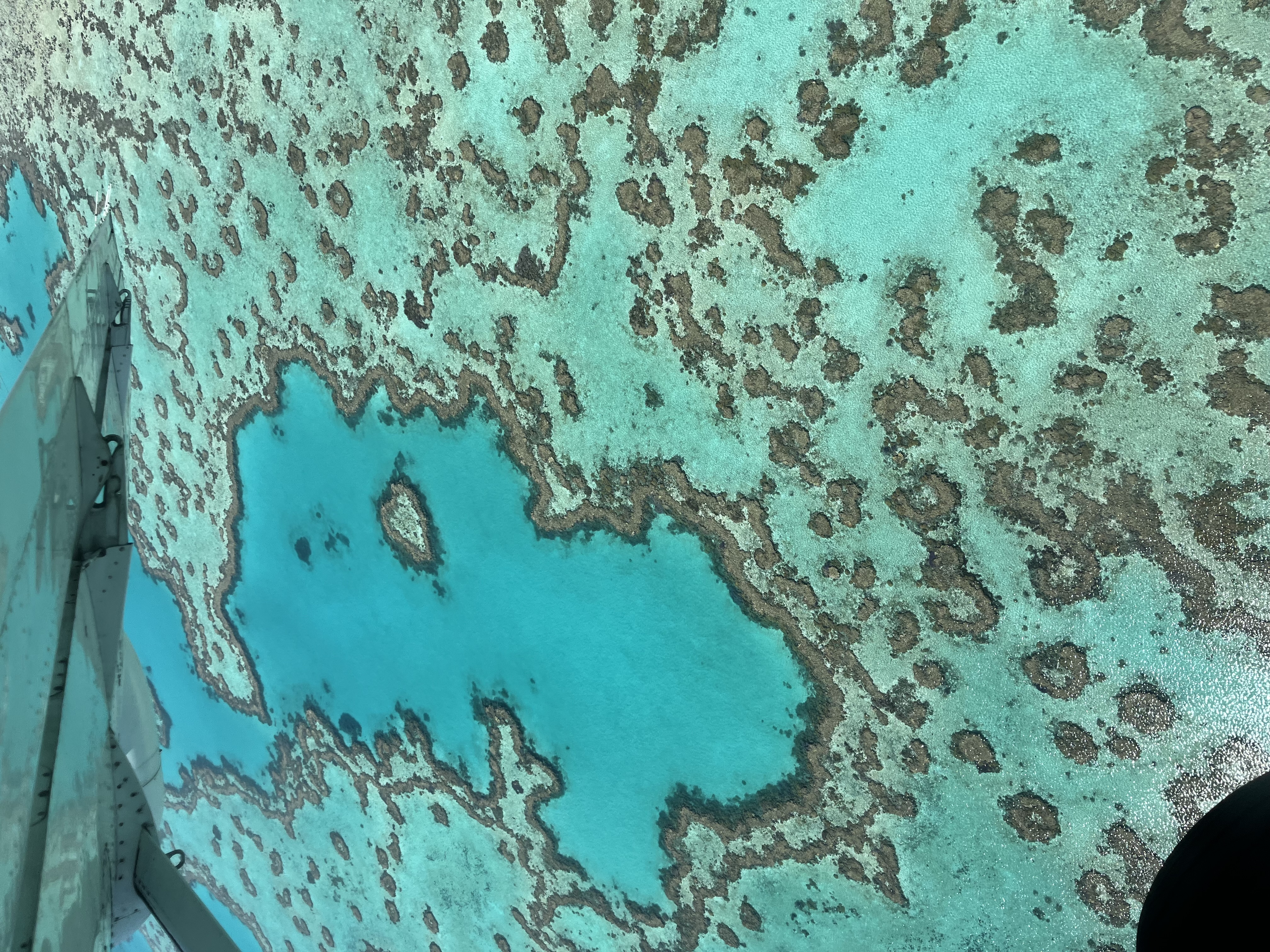 Lisa Garber | Fora Travel