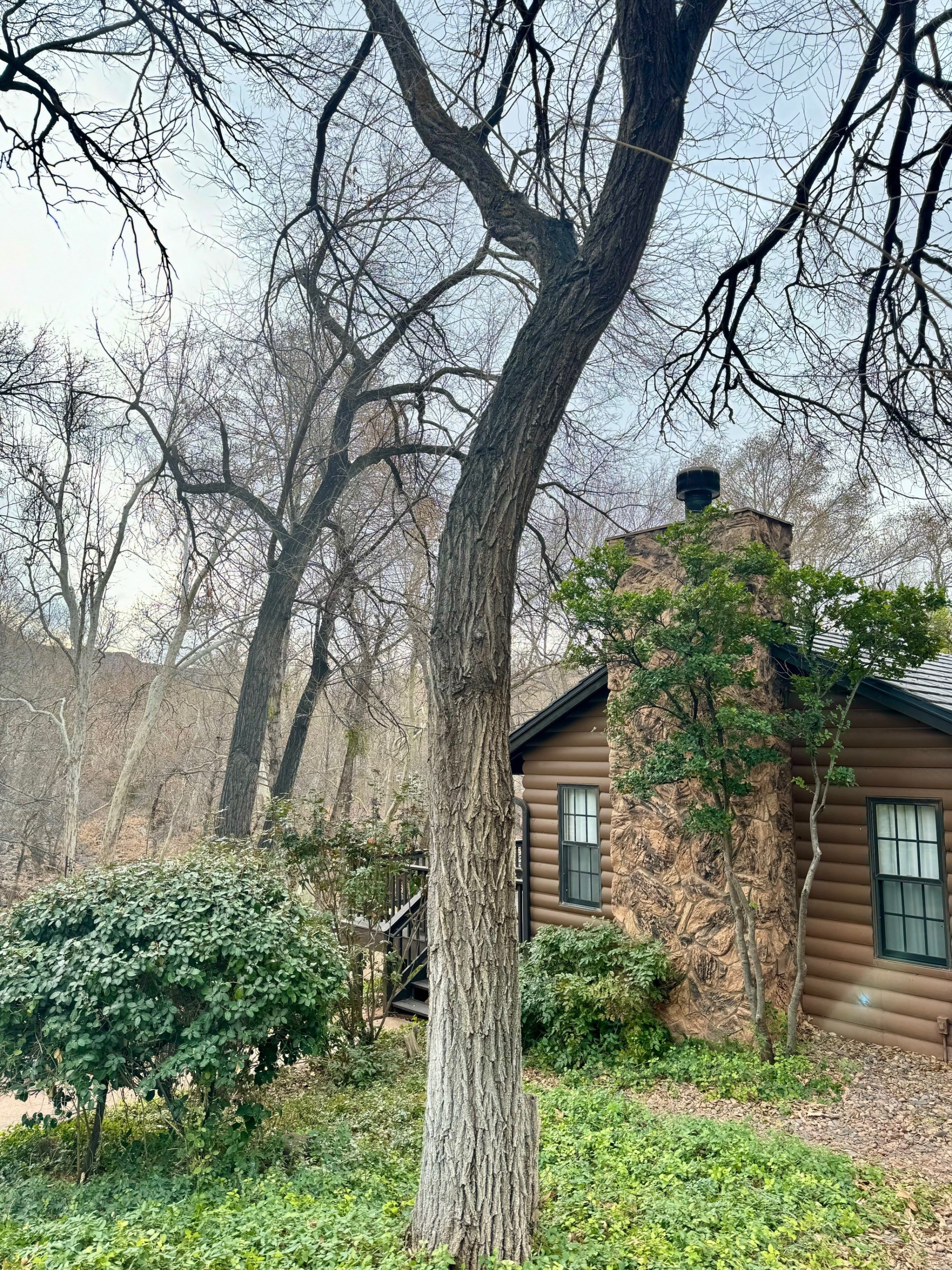 Chanda Daly | Fora Travel