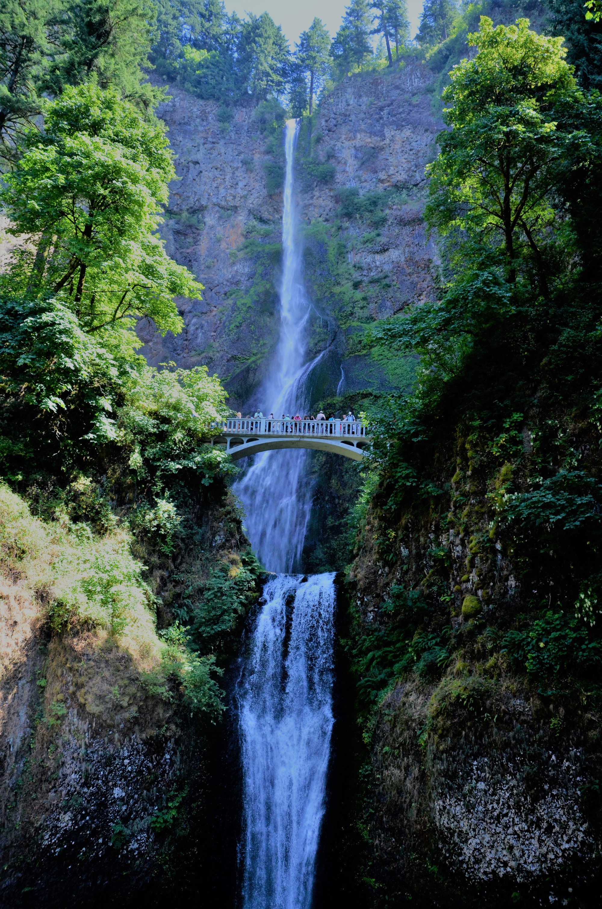 Kimberly Herman | Fora Travel