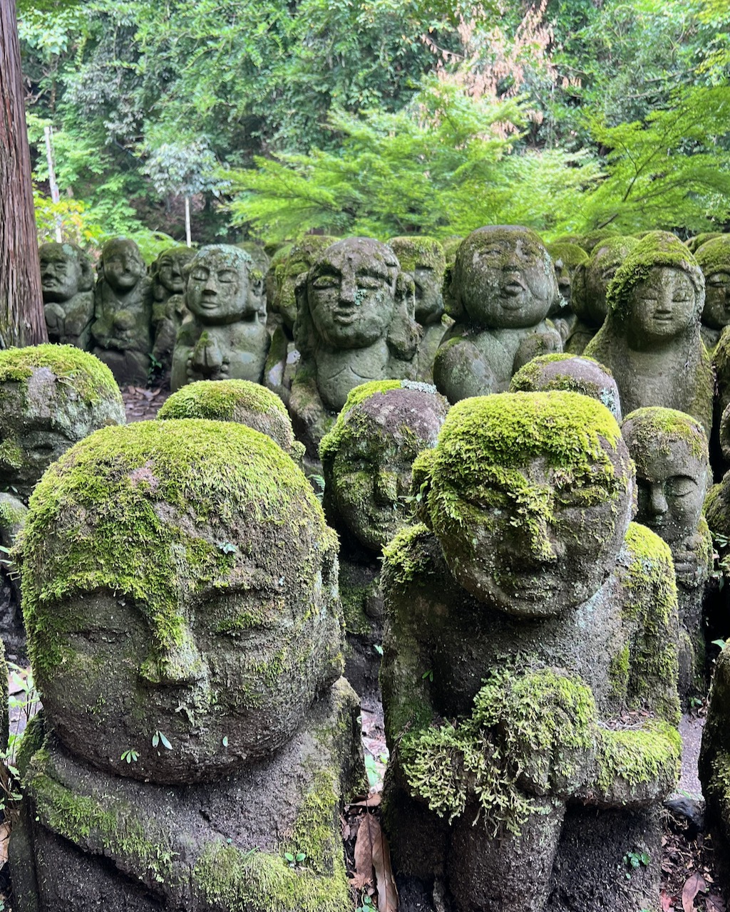 Kyoto Uncovered: Essential Destinations & Hidden Gems You Can't Miss