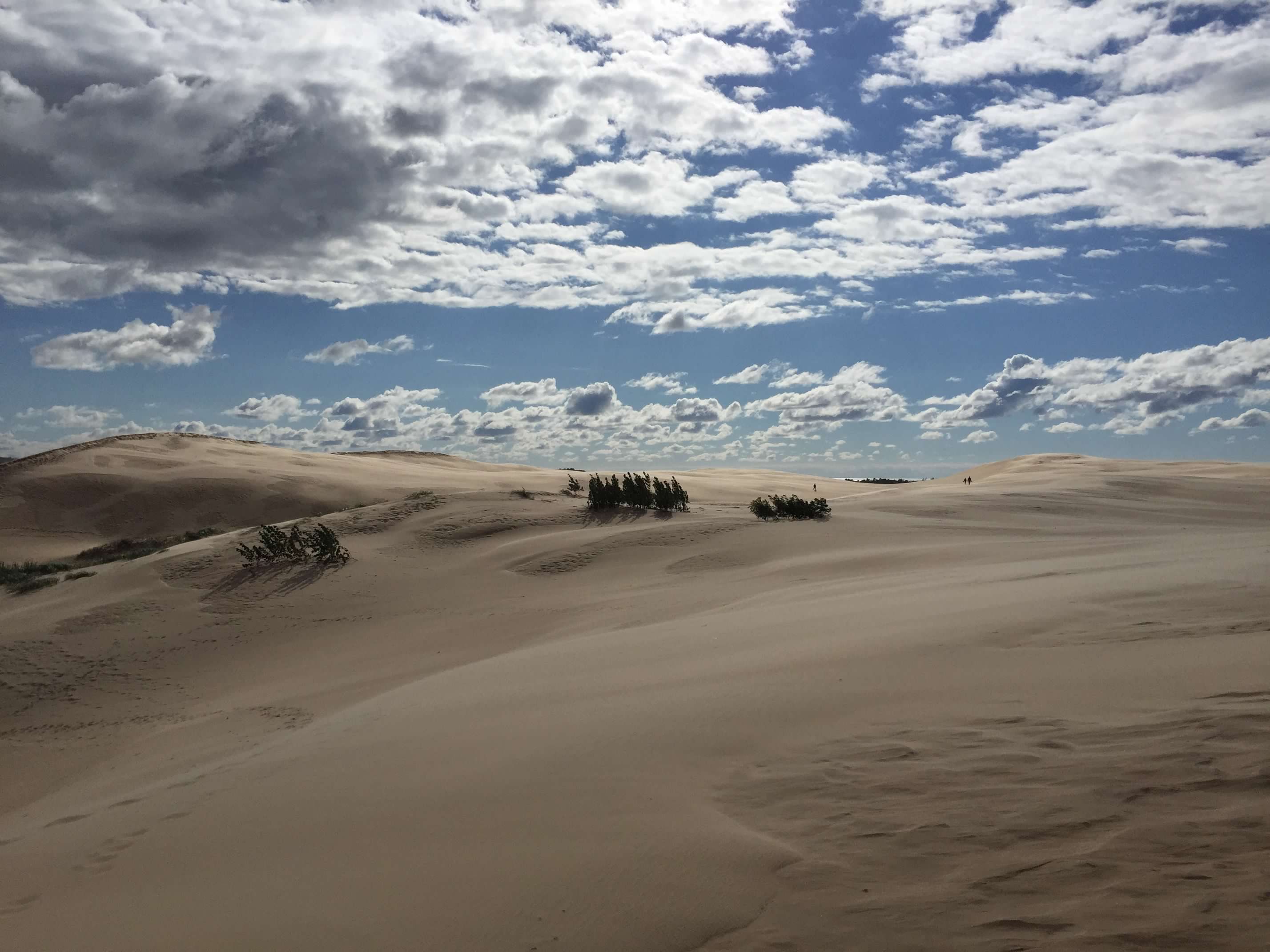 Brooke Keith | Fora Travel