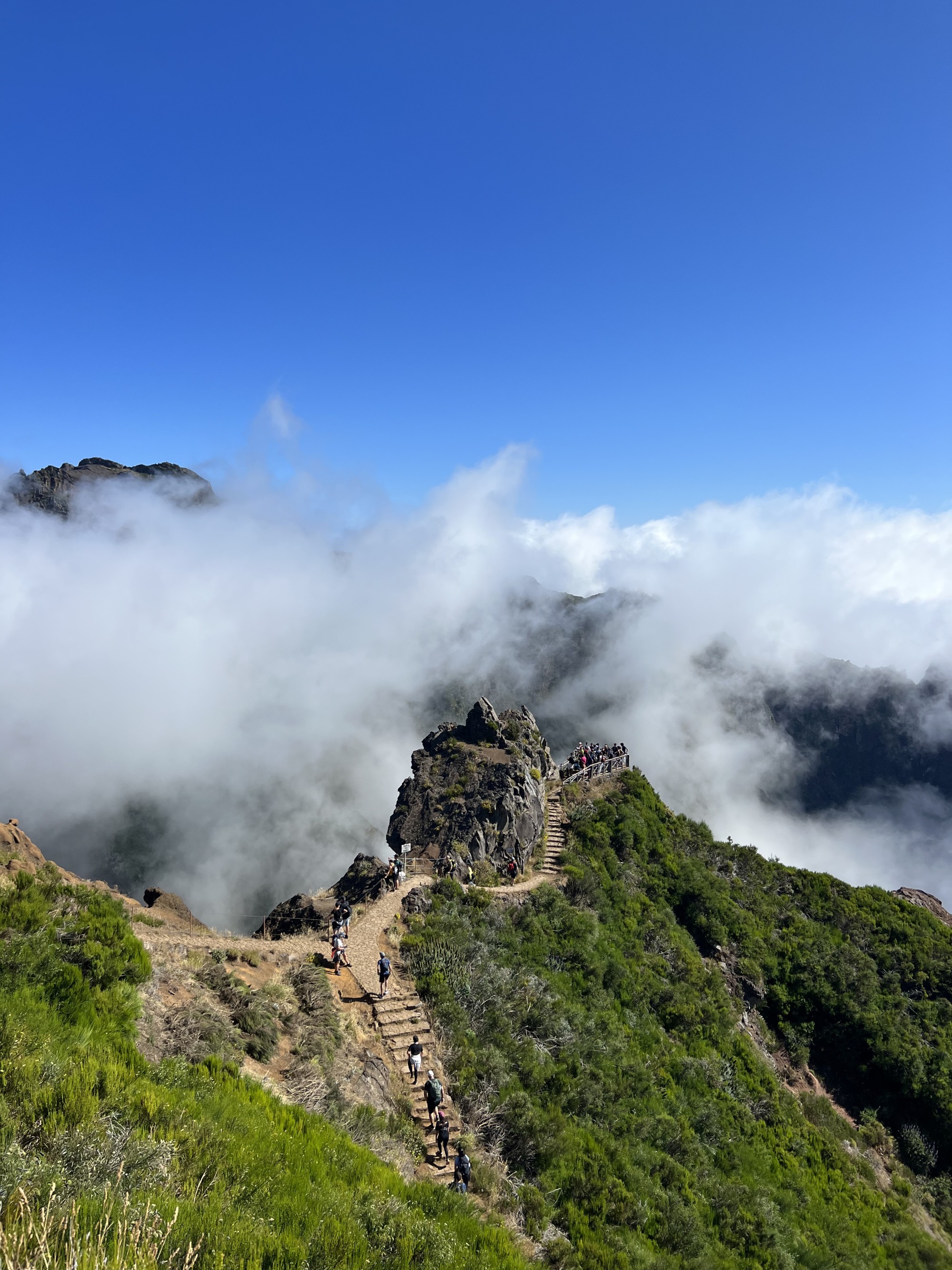 Unveiling the Enchantments of Madeira: A Traveler’s Paradise