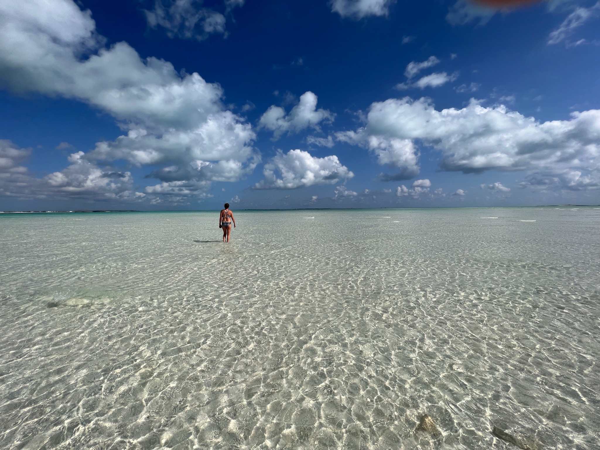 Emmy Whitney | Fora Travel