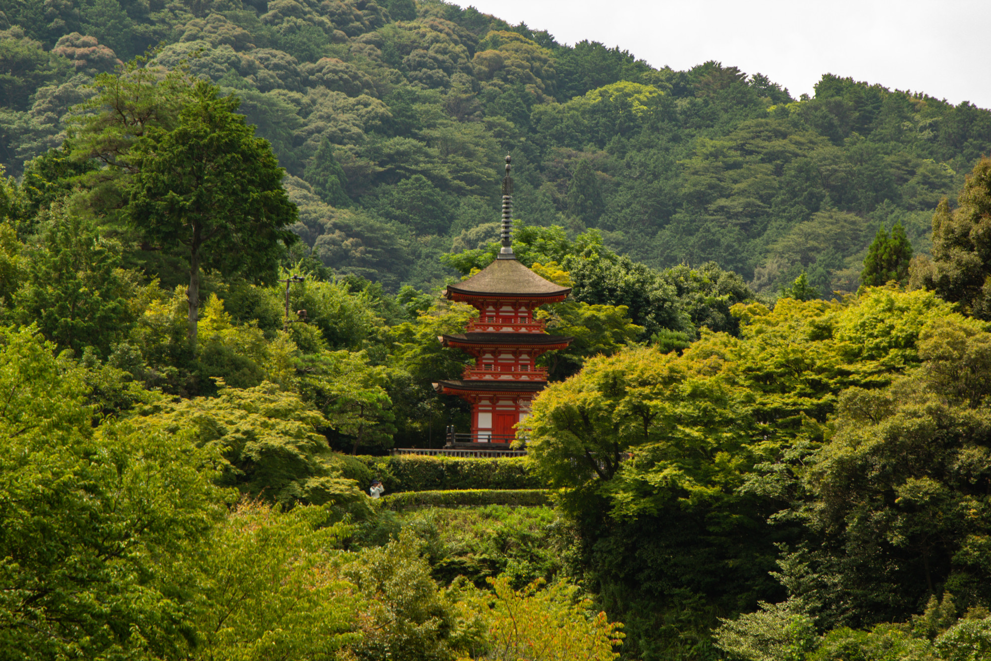 Kyoto Uncovered: Essential Destinations & Hidden Gems You Can't Miss