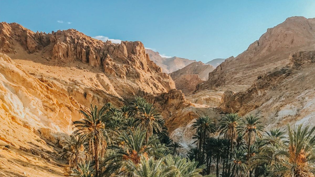 Book a Tunisia Vacation | Fora Travel
