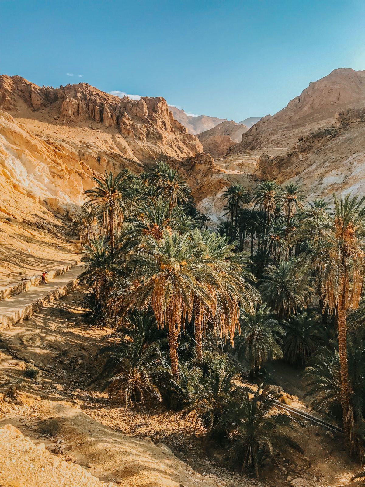Book a Tunisia Vacation | Fora Travel