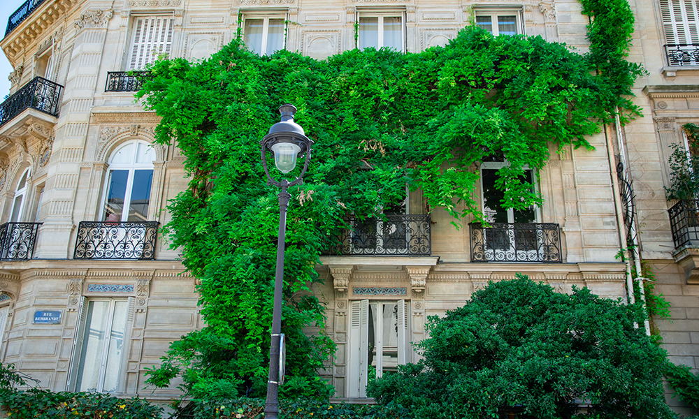 The Green Side of Paris