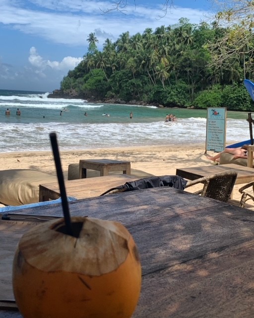 7 Day Girls Trip: A Blissful Getaway from the Himalayas to Sri Lankan ...