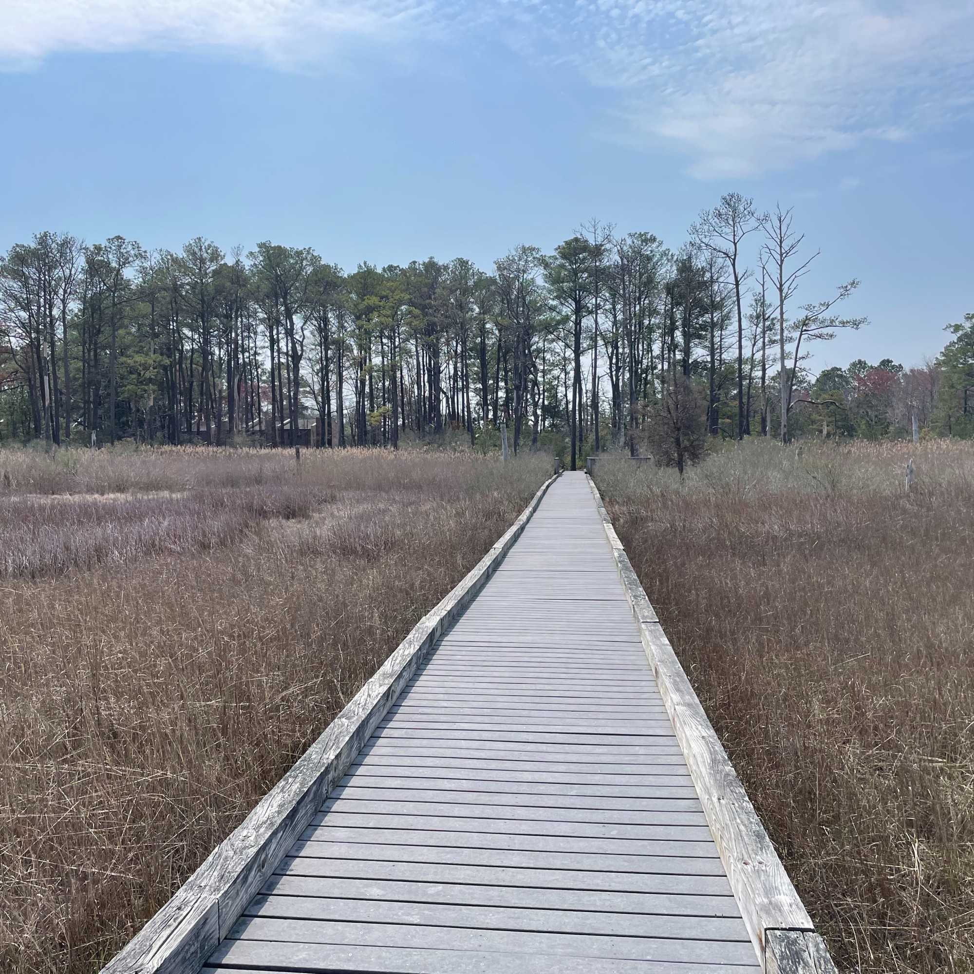 Bethany Beach: Your Guide to a Relaxing Escape in Coastal Delaware
