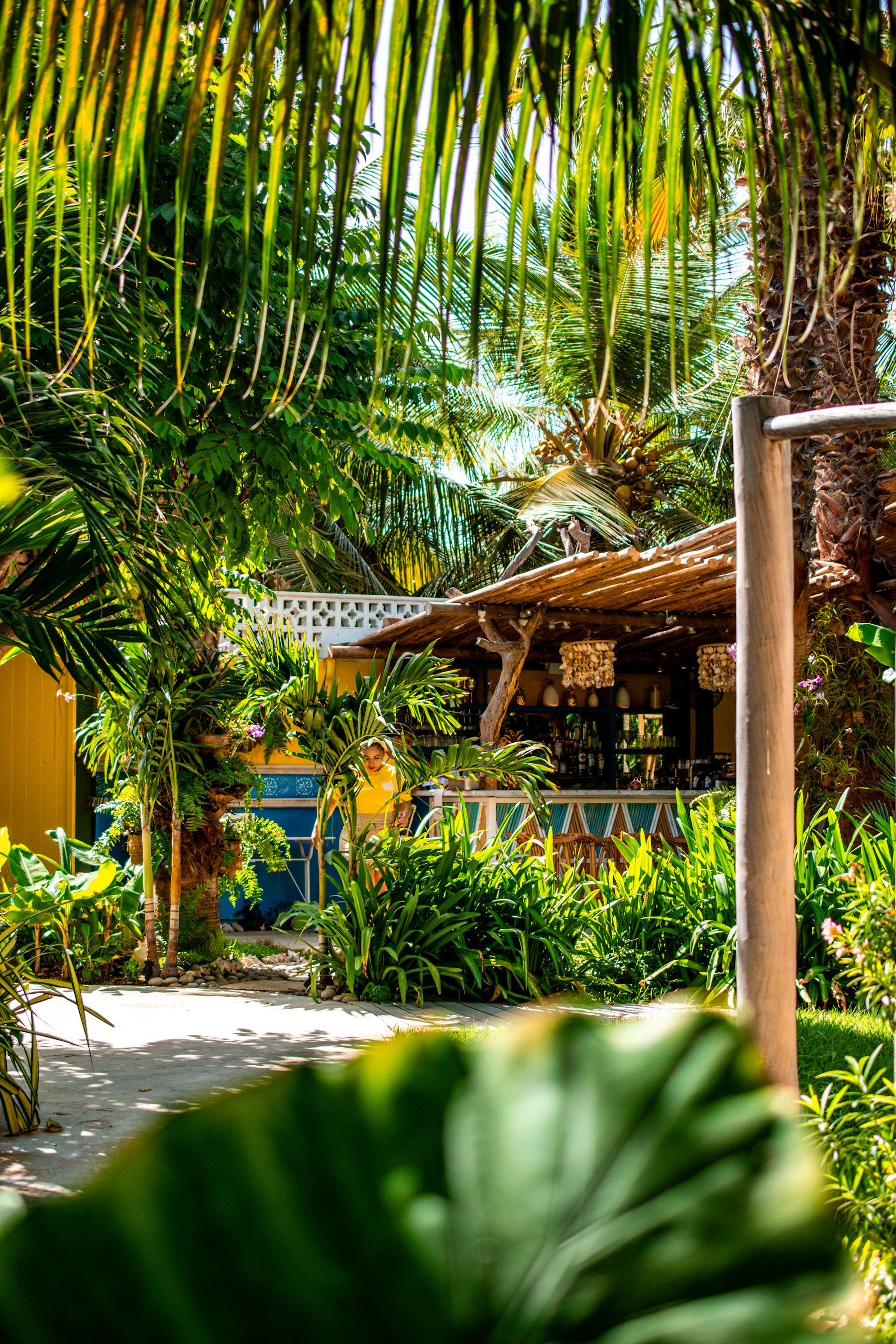 Aruba's Hidden Gem: Exploring Boardwalk's Authentic Hospitality