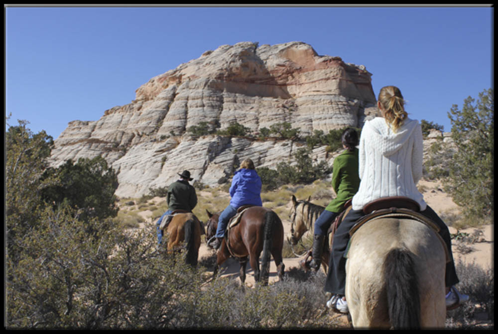 Unbridled Luxury: Exploring Resorts with Horseback Riding