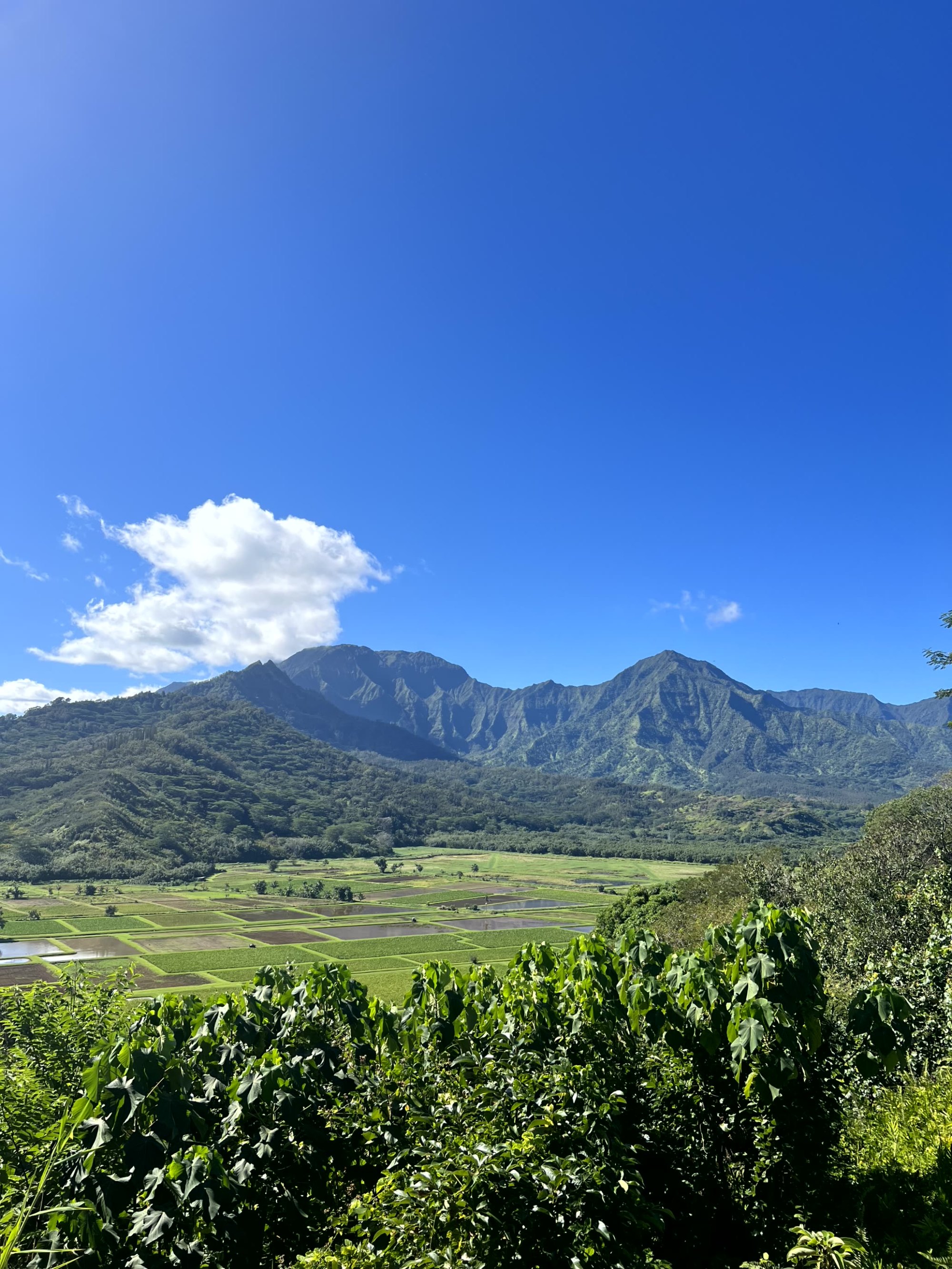 Kaua'i in 6 Days: A Perfect Blend of Adventure and Relaxation