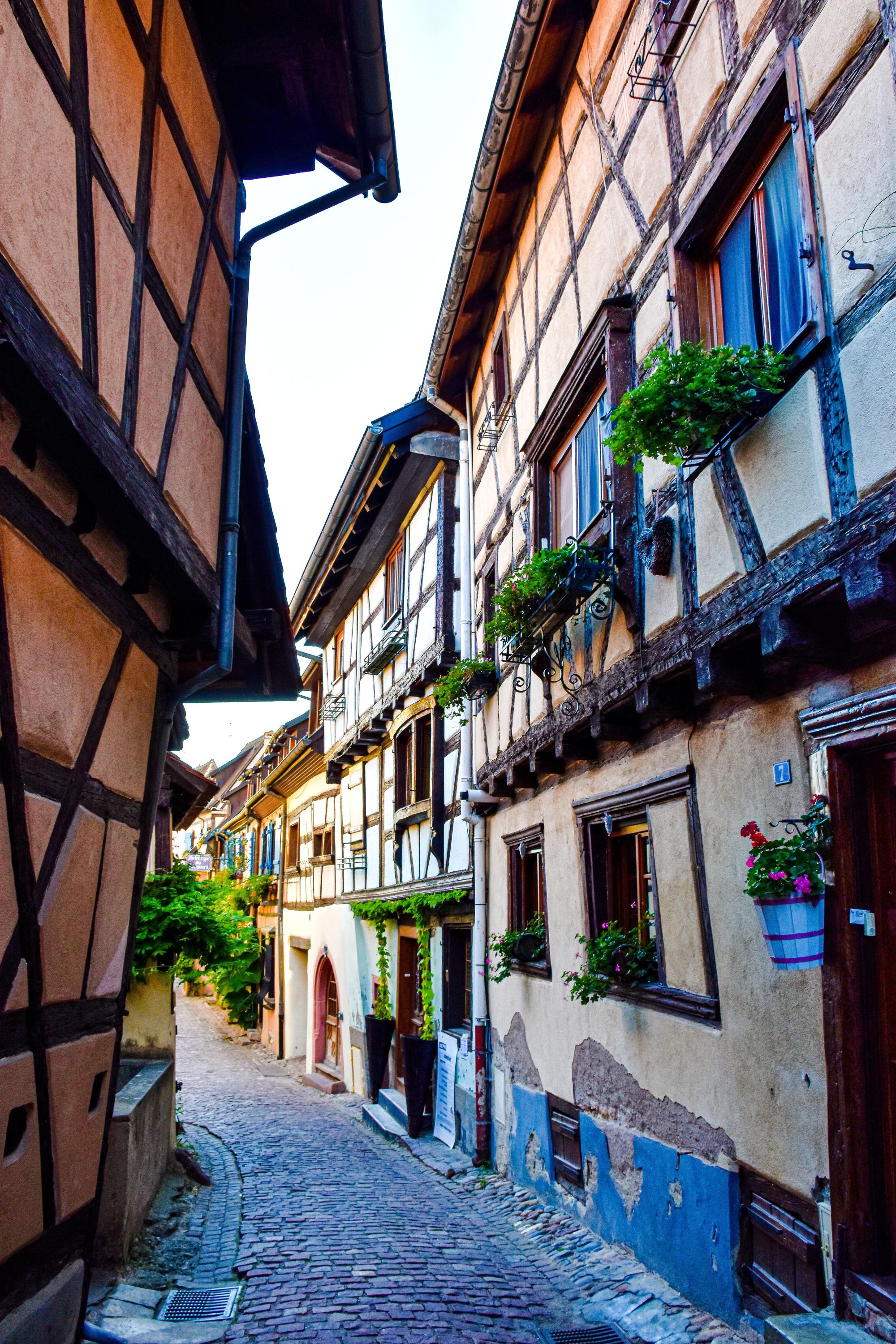 Wine, Castles & Holidays in Alsace, France