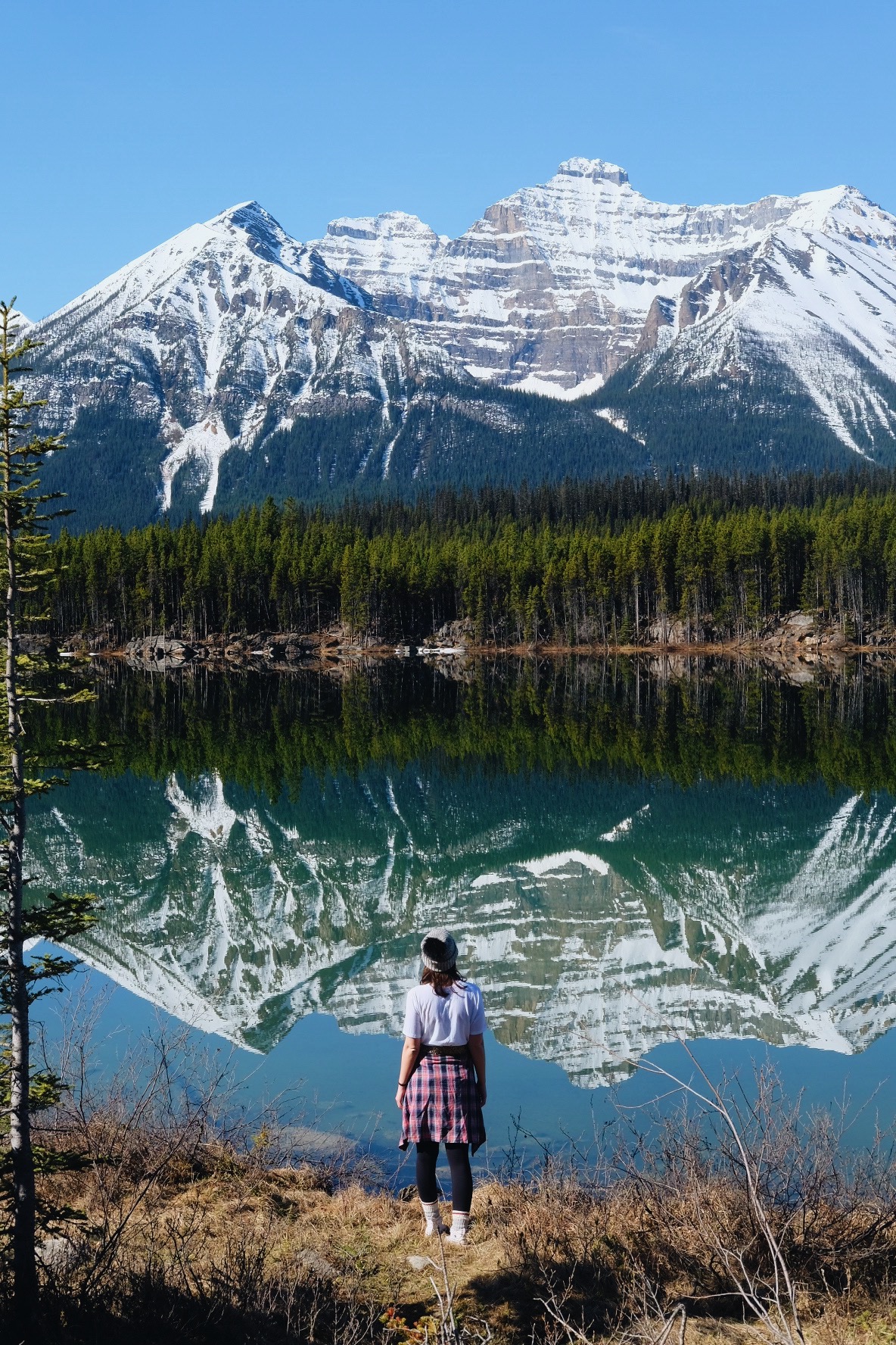 Banff Area Road Trip