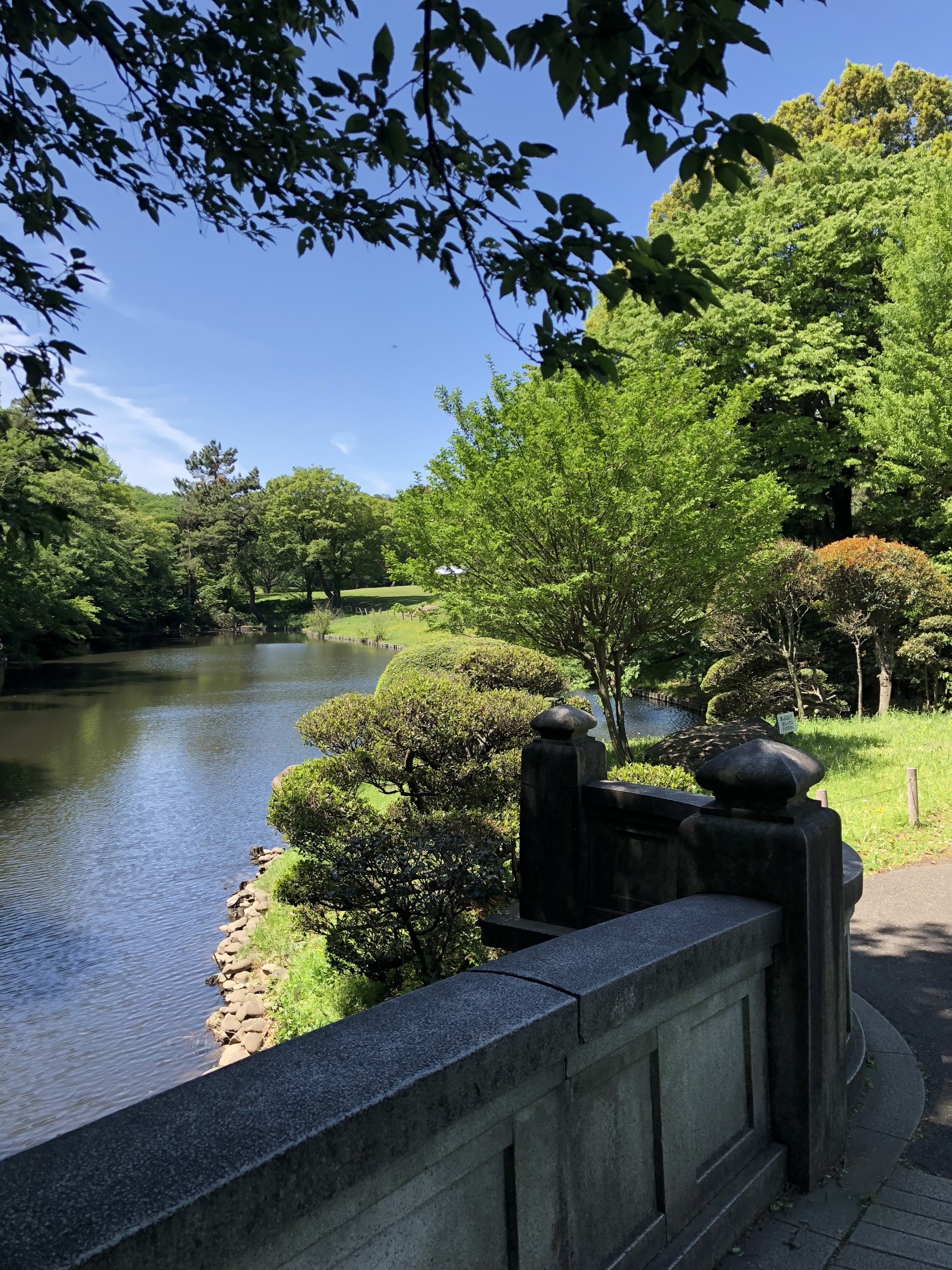 Things to Do in Tokyo, Japan: Where Tradition Meets Tomorrow