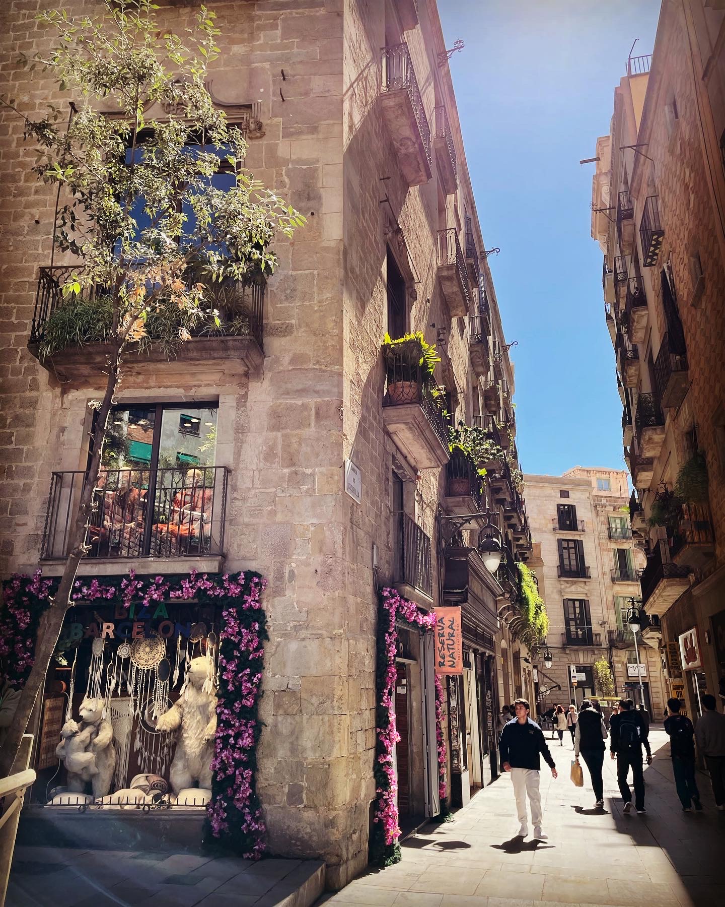 Michelle Thomasson | Fora Travel