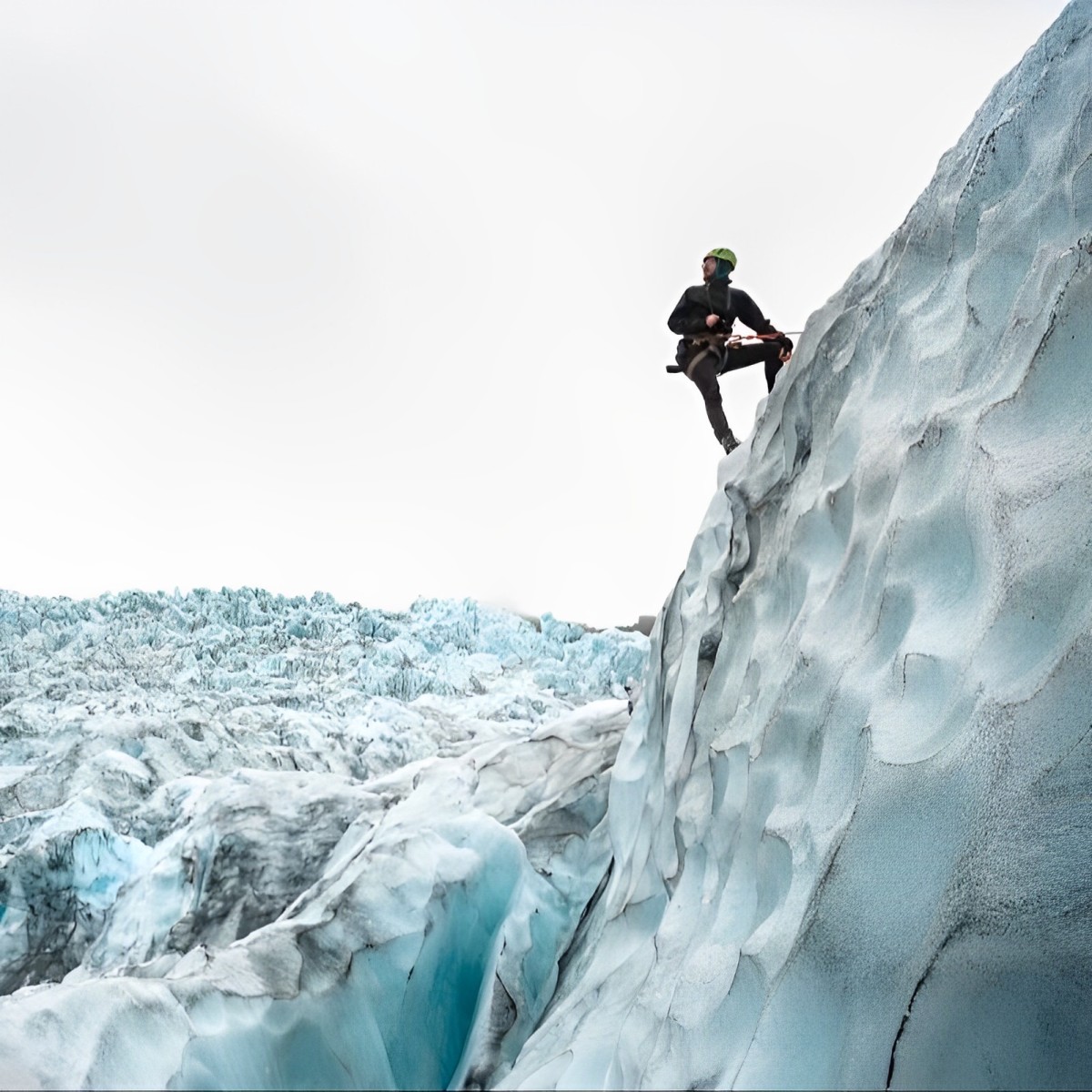 Book Your Project Expedition Adventure with Fora