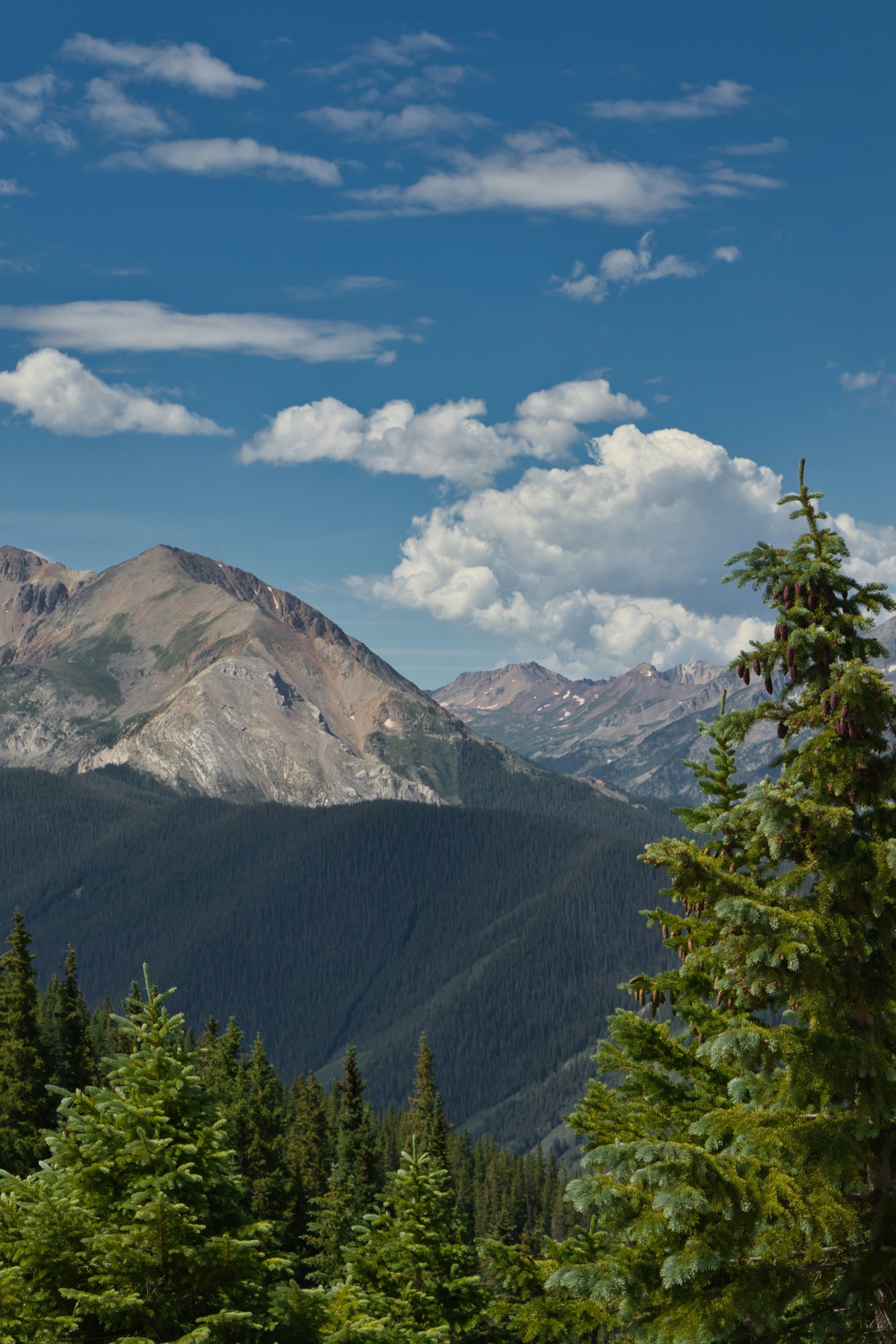 Discover the Magic of Aspen: Unforgettable Winter or Summer Adventures