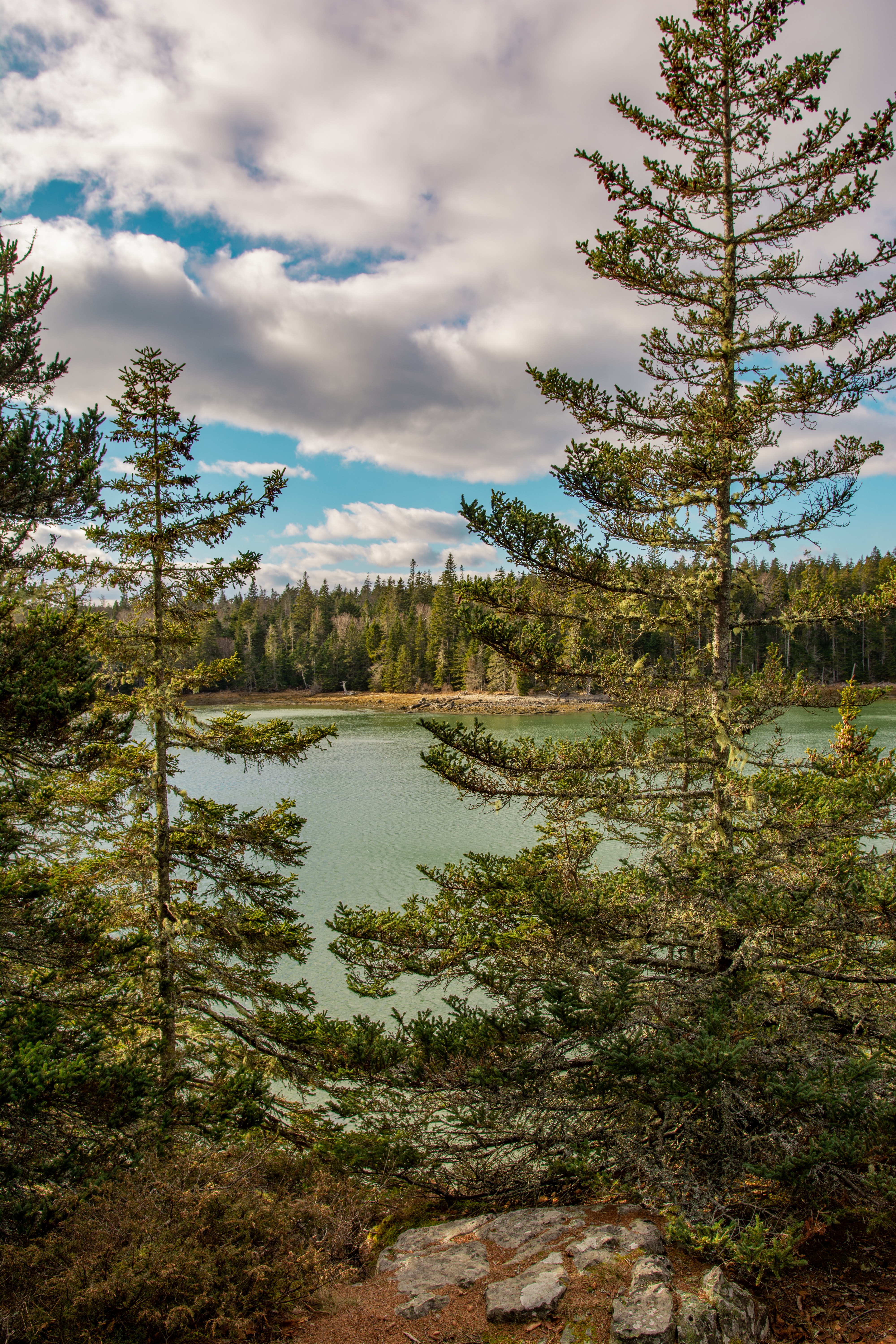 7-Day Scenic Road Trip Across Coastal Maine