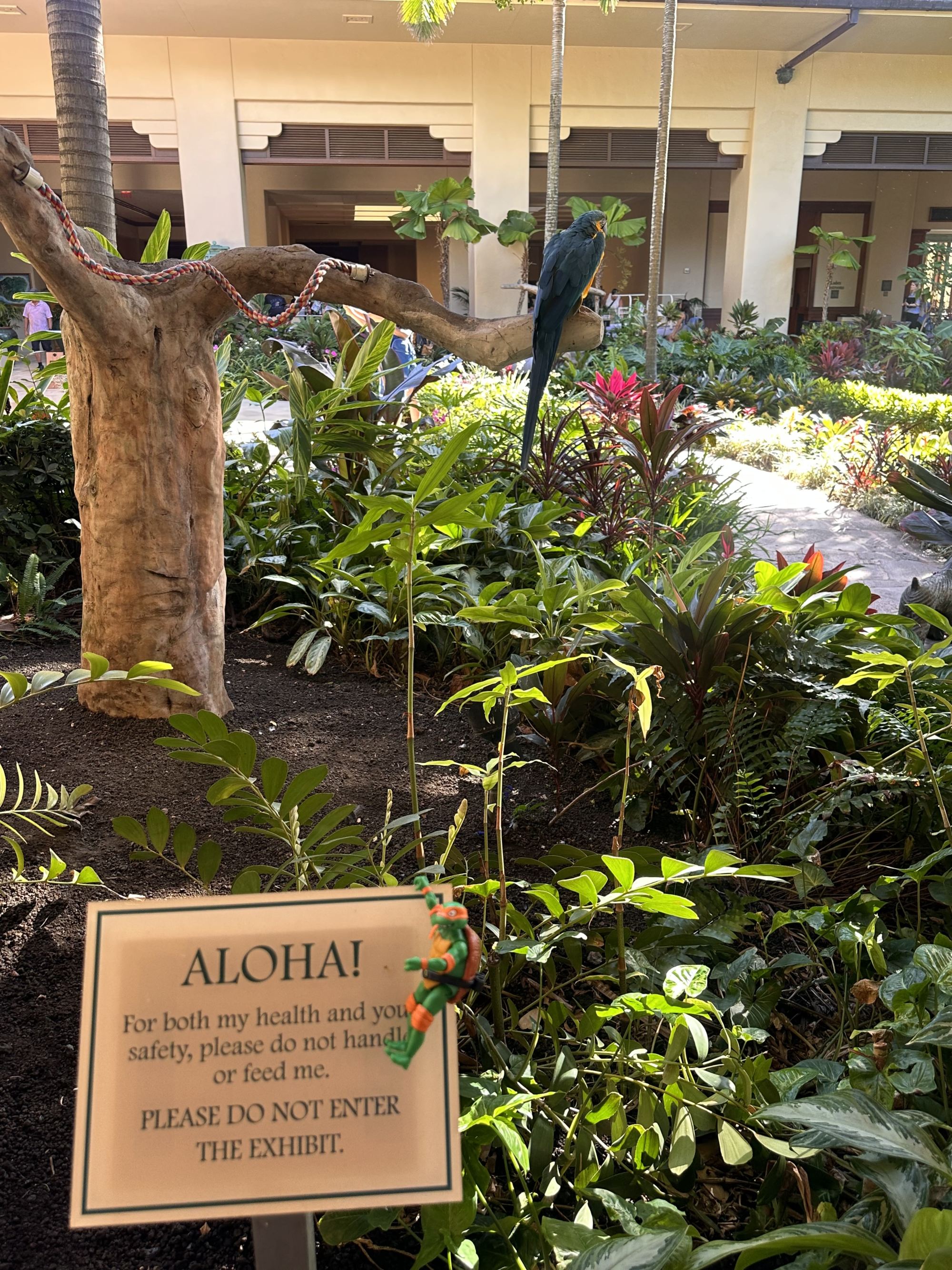 Site Inspection at Grand Hyatt Kauai Resort & Spa