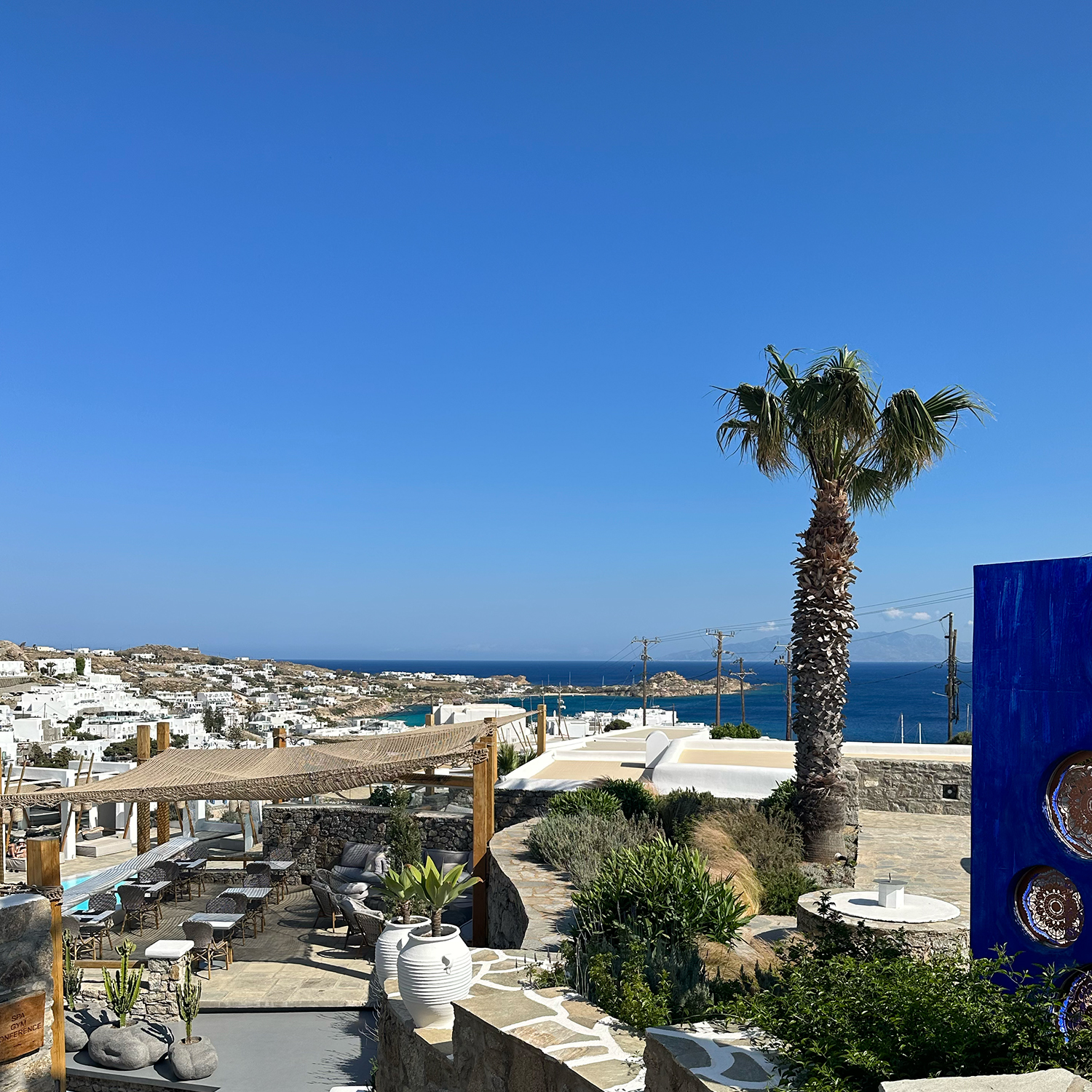 Taneisha Hellon | Fora Travel