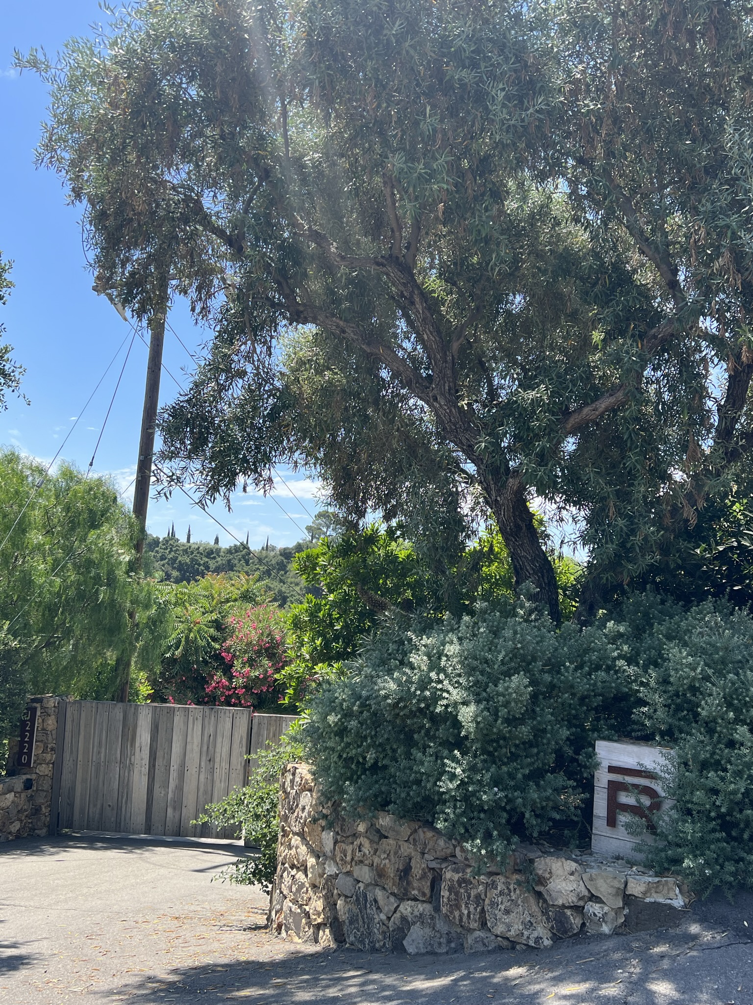 Wellness Resort Spotlight: The Ranch Malibu