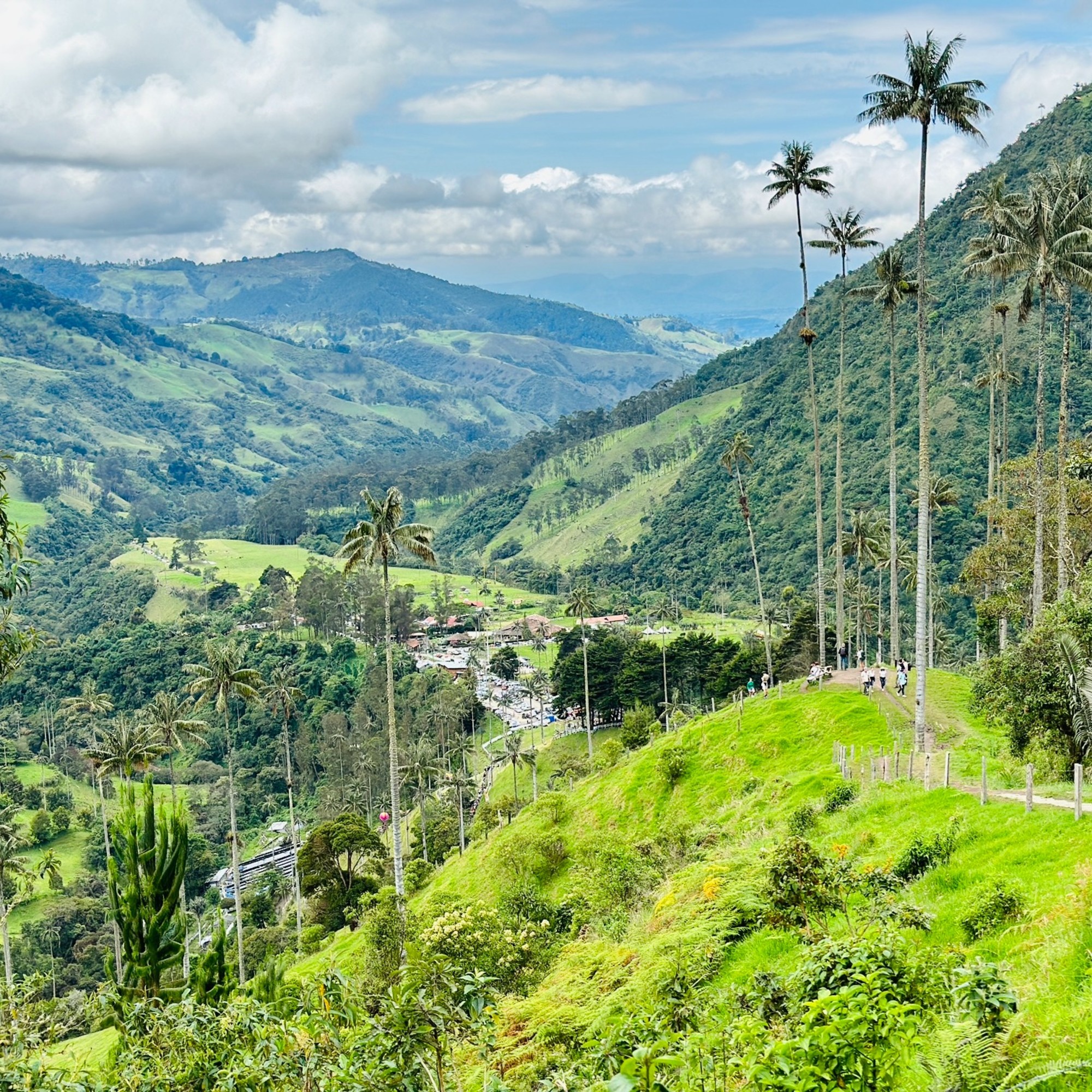 Colombia Stole My Heart: A Groovy Journey Through Paradise