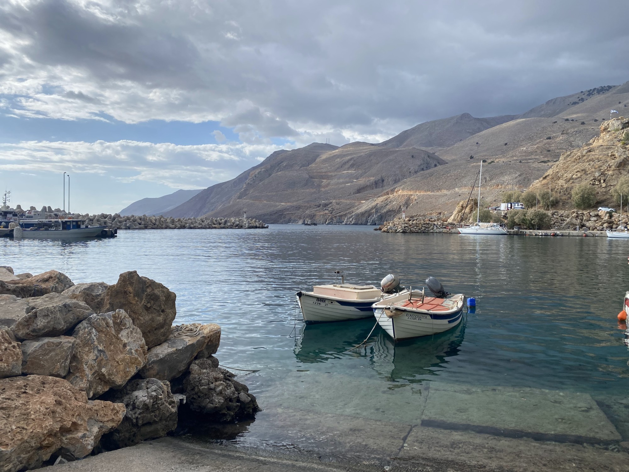Stephen Field | Fora Travel