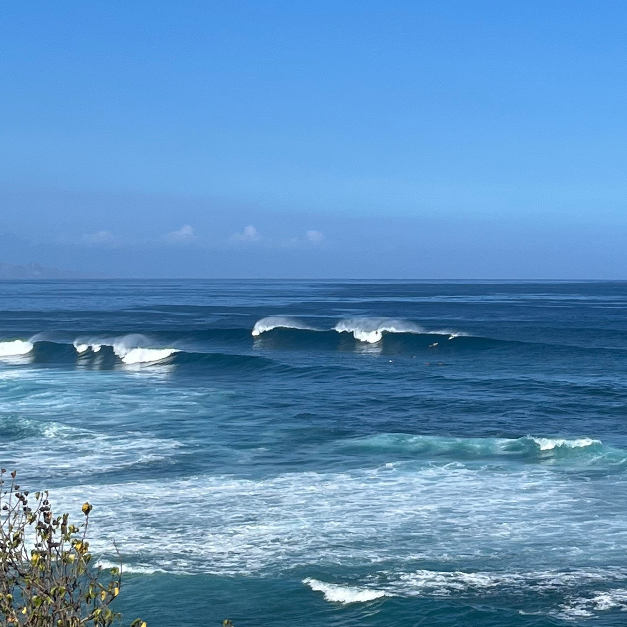Surf Trip to Maui: All You Need to Know