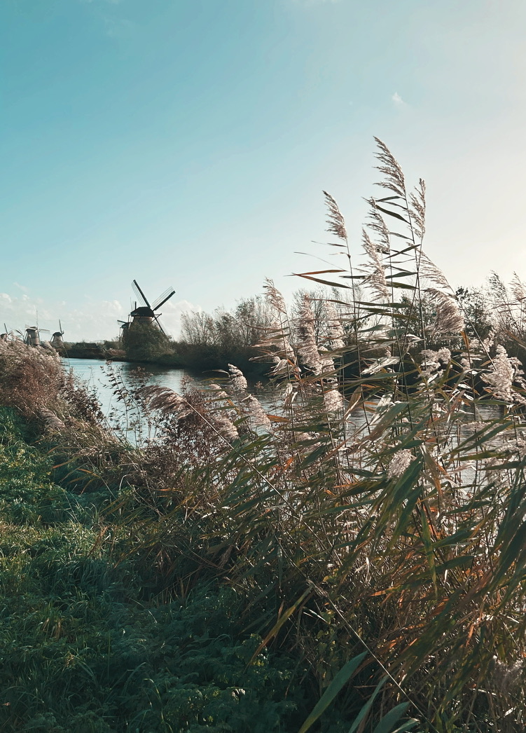 Trip Report: An Enchanting Viking Rhine River Cruise