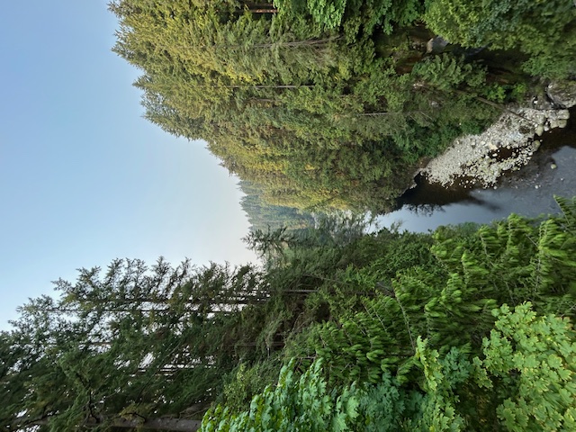 A Perfect Couple of Days in Vancouver