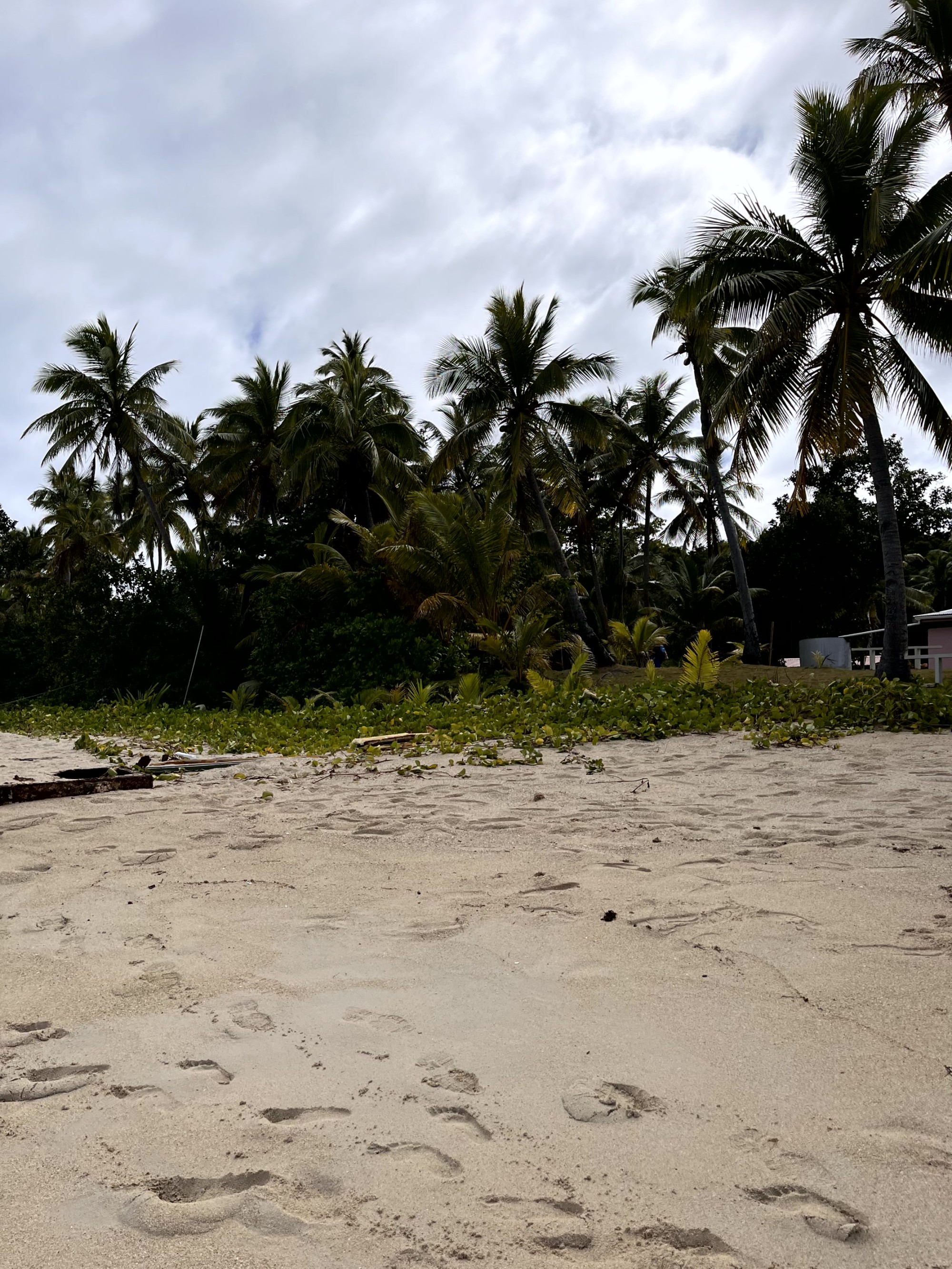 Enjoy the Simplicity of Dravuni Island, Fiji