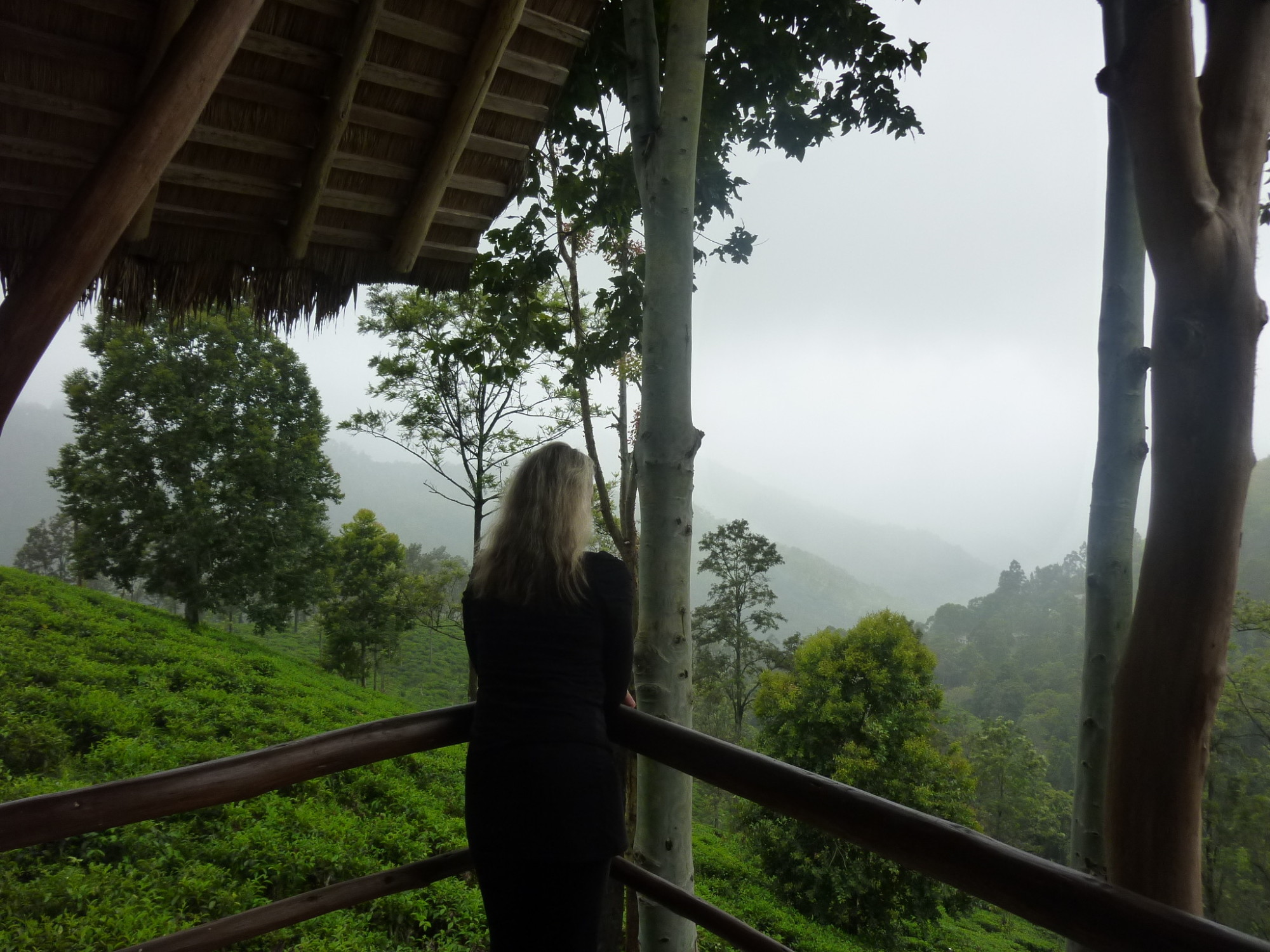 Panoramic Views from this Boutique Hotel in Ella Sri Lanka