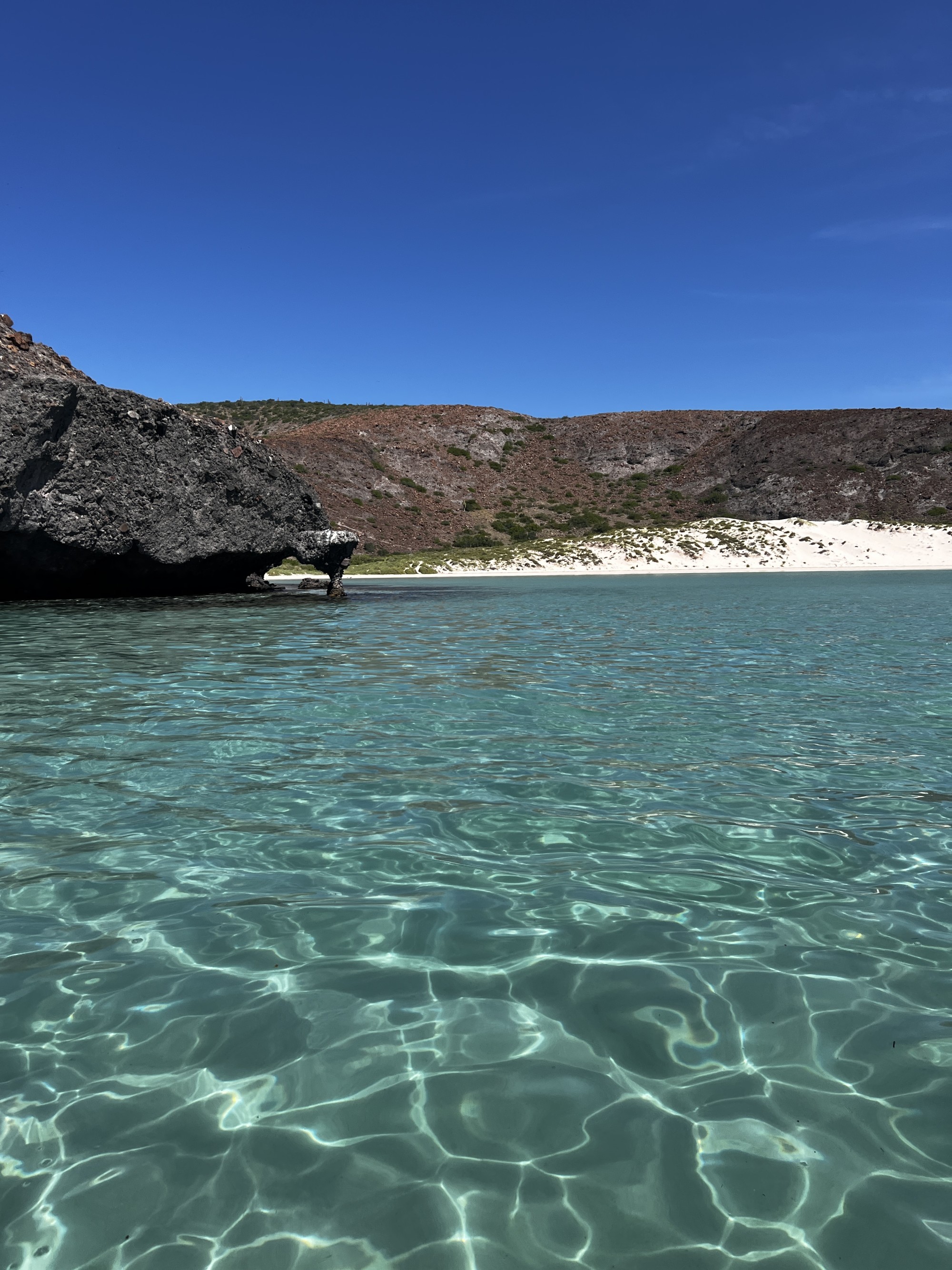 In Love with La Paz: Discover Paradise in Baja California Sur