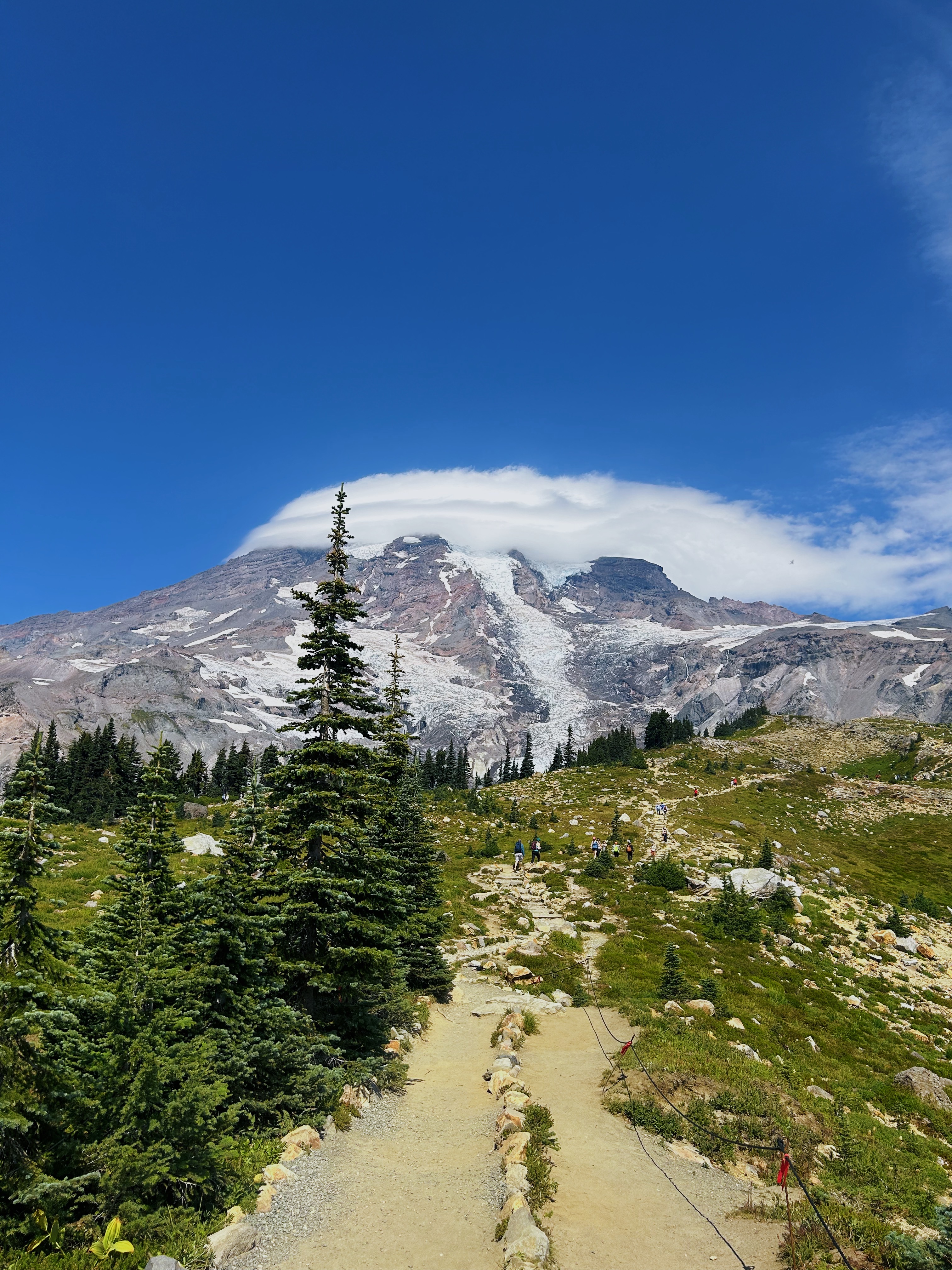 Exploring Mt. Rainier National Park: Skyline Trail Hiking and Local Secrets
