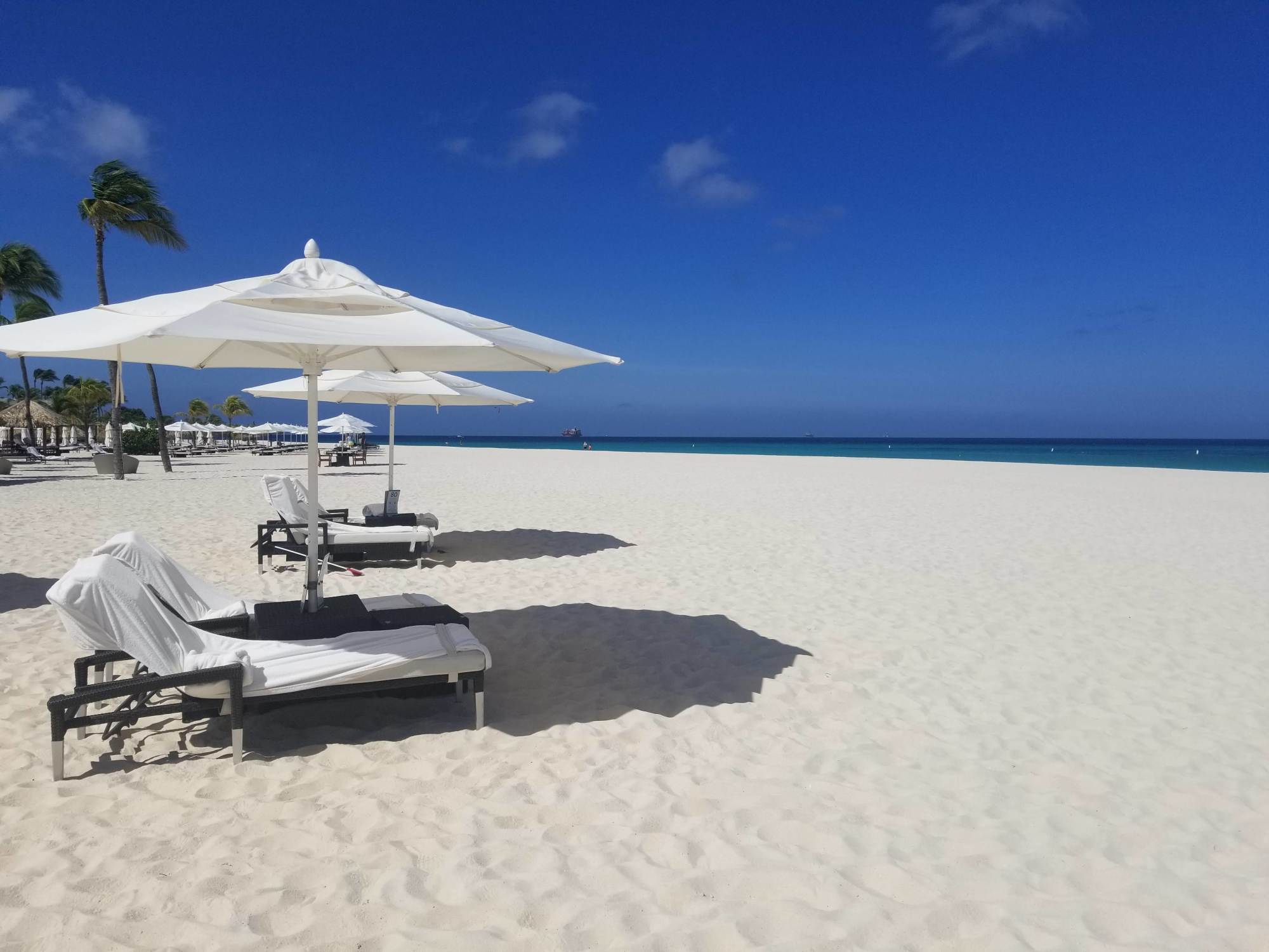 Our Stay at Bucuti & Tara - An Adults-Only Aruba Adventure