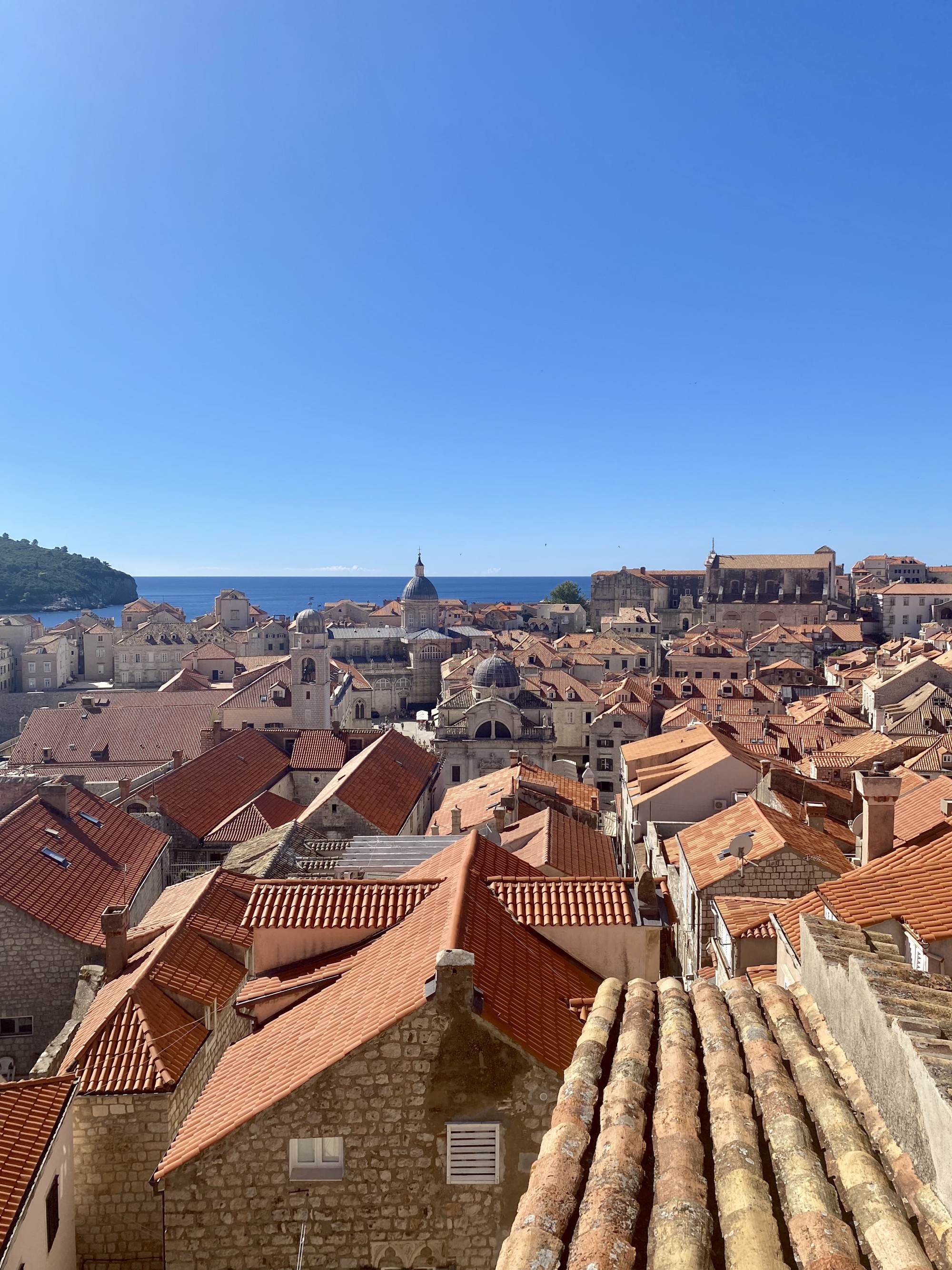 Rachel Havens | Fora Travel