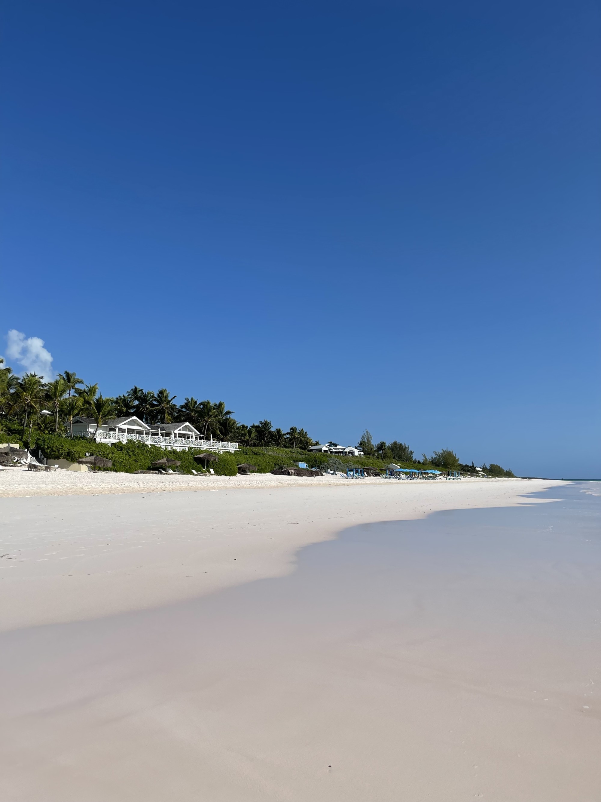 Ultimate Harbour Island Bahamas Guide: Discovering the Hidden Gems of ...