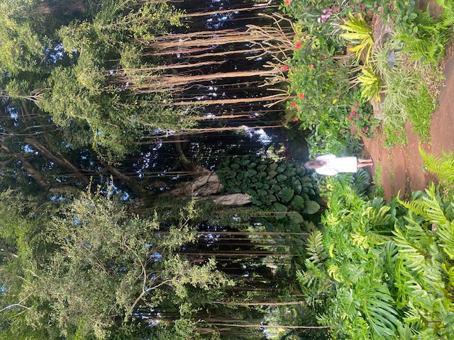 A Luxurious 10 Days Visiting the Hawaiian Islands