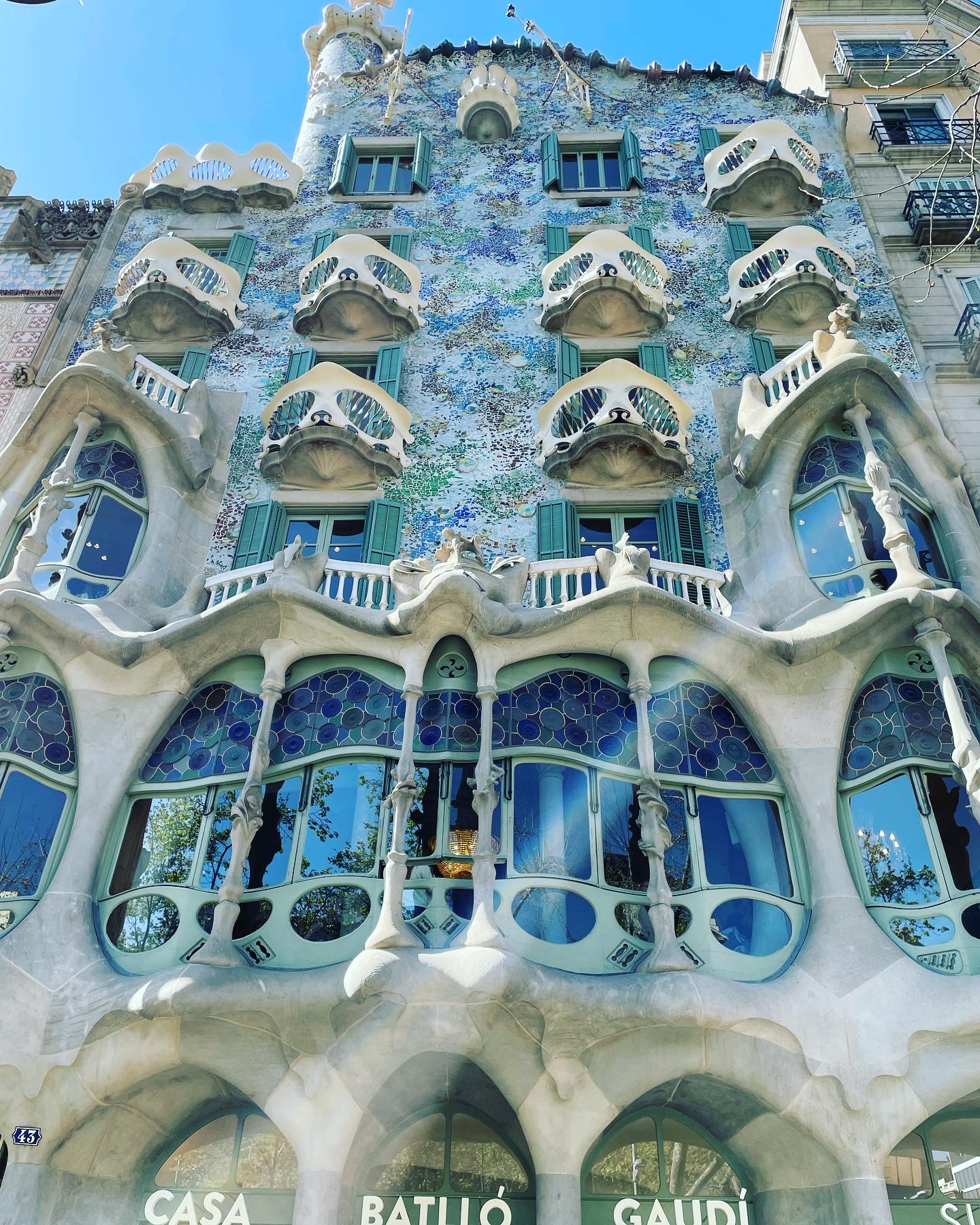 Michelle Thomasson | Fora Travel