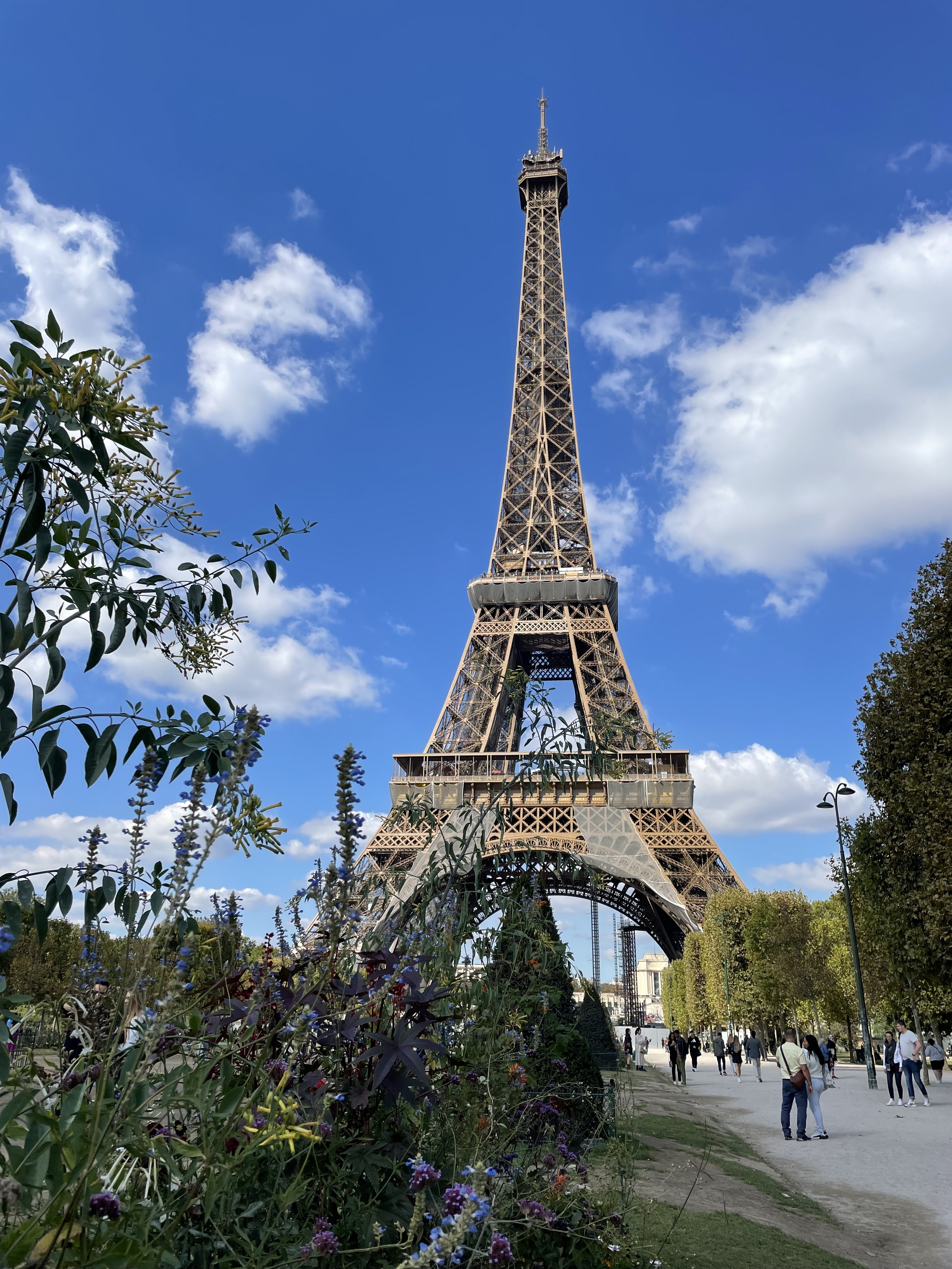 Lacey Hayes | Fora Travel