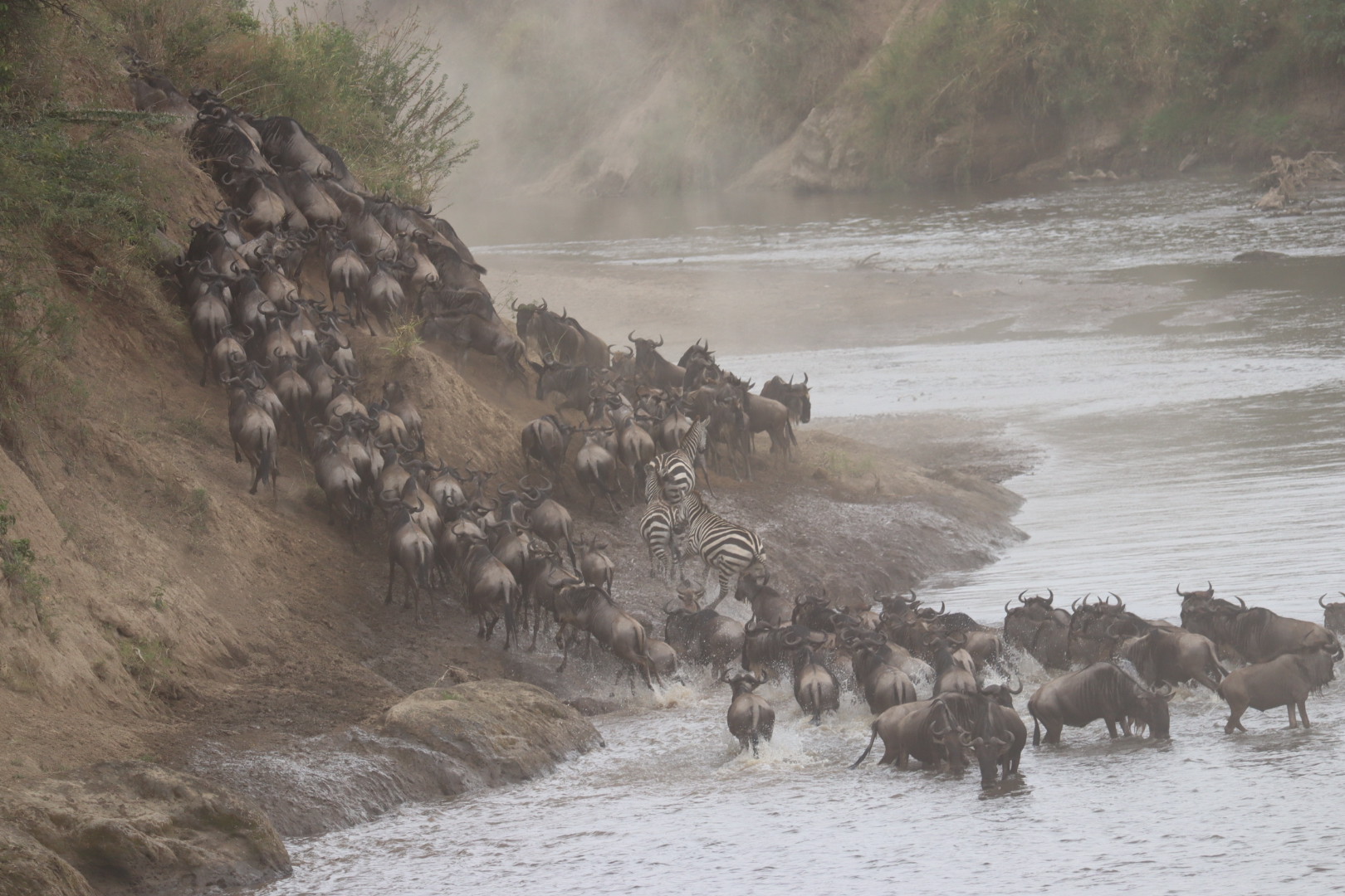 Lori Gladstone | Fora Travel