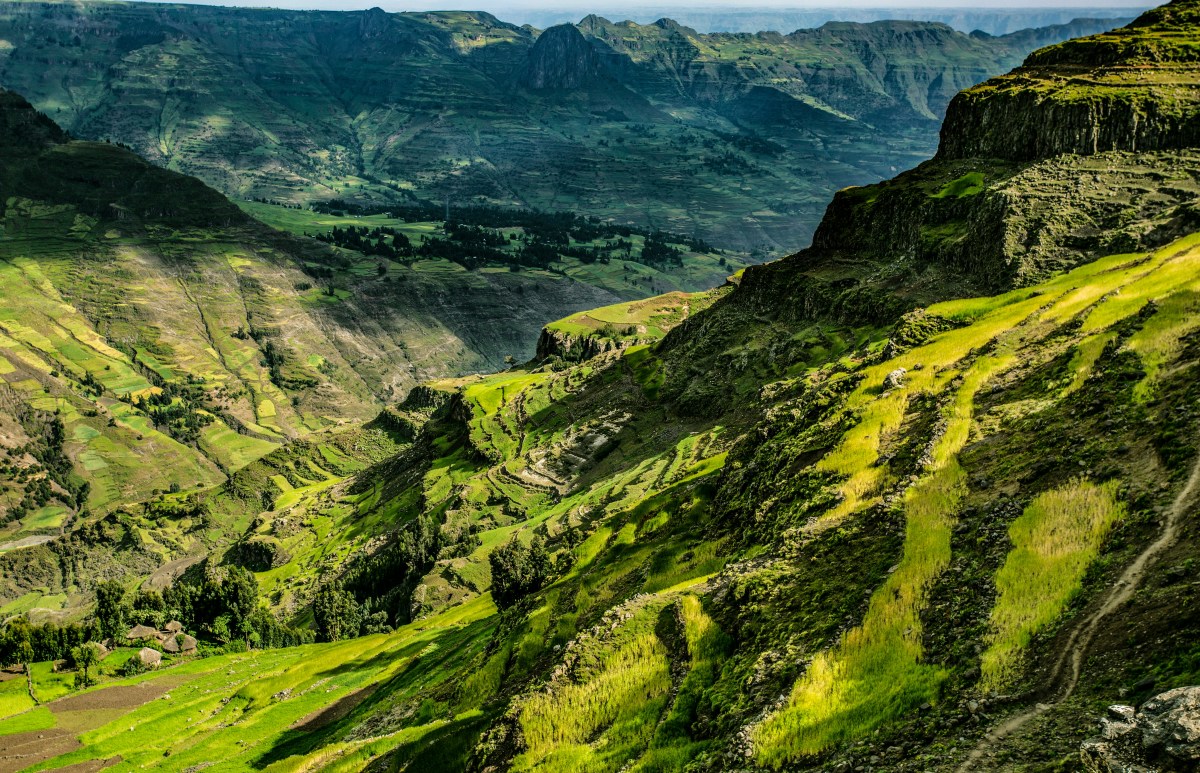 Book an Ethiopia Vacation | Fora Travel
