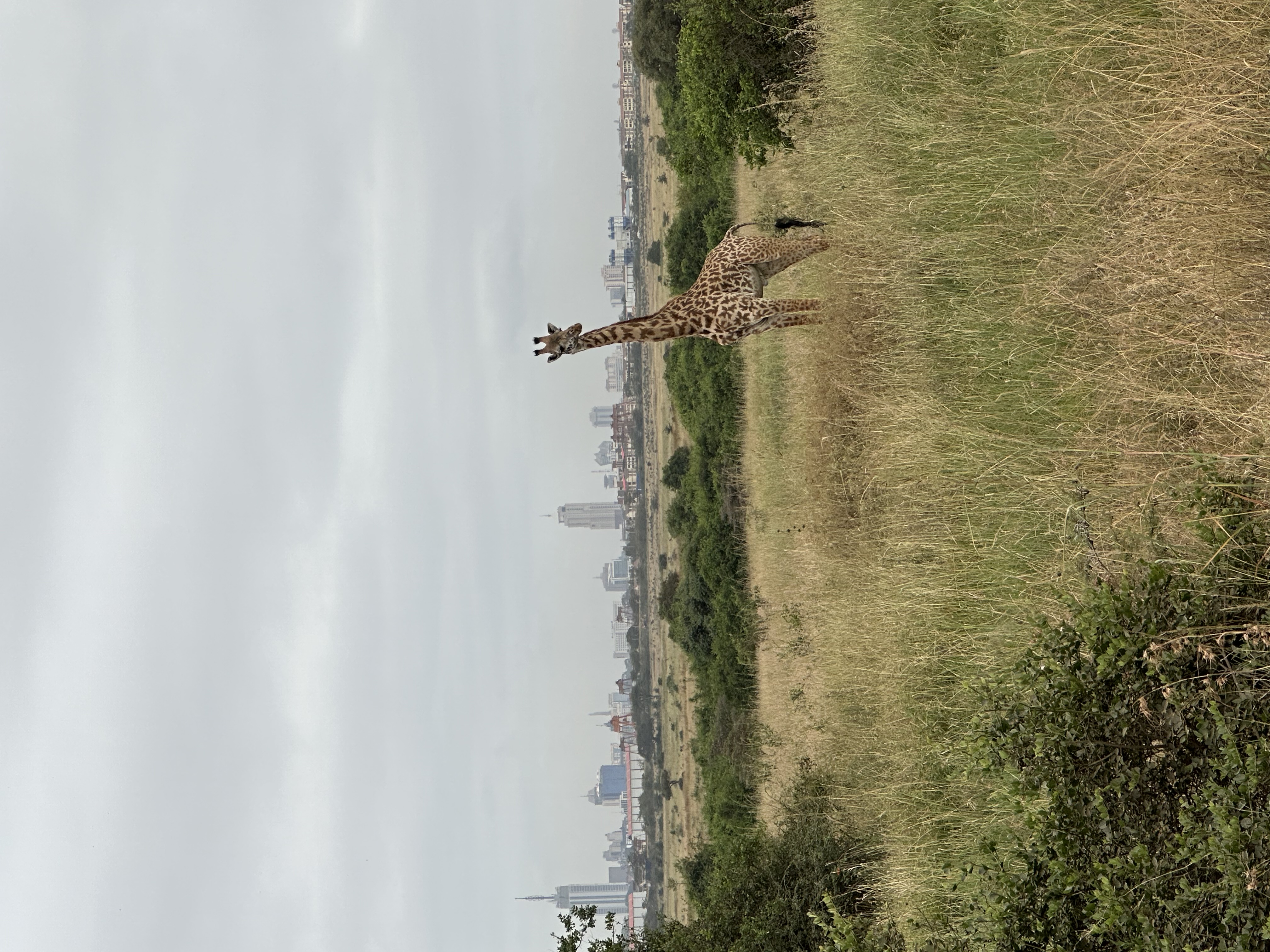 Casey Stein | Fora Travel