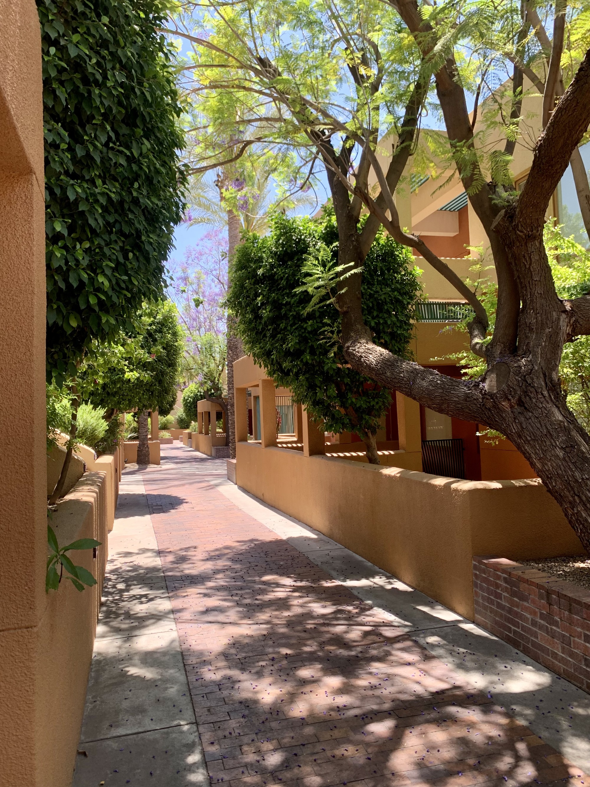 A Complete Guide to Arizona