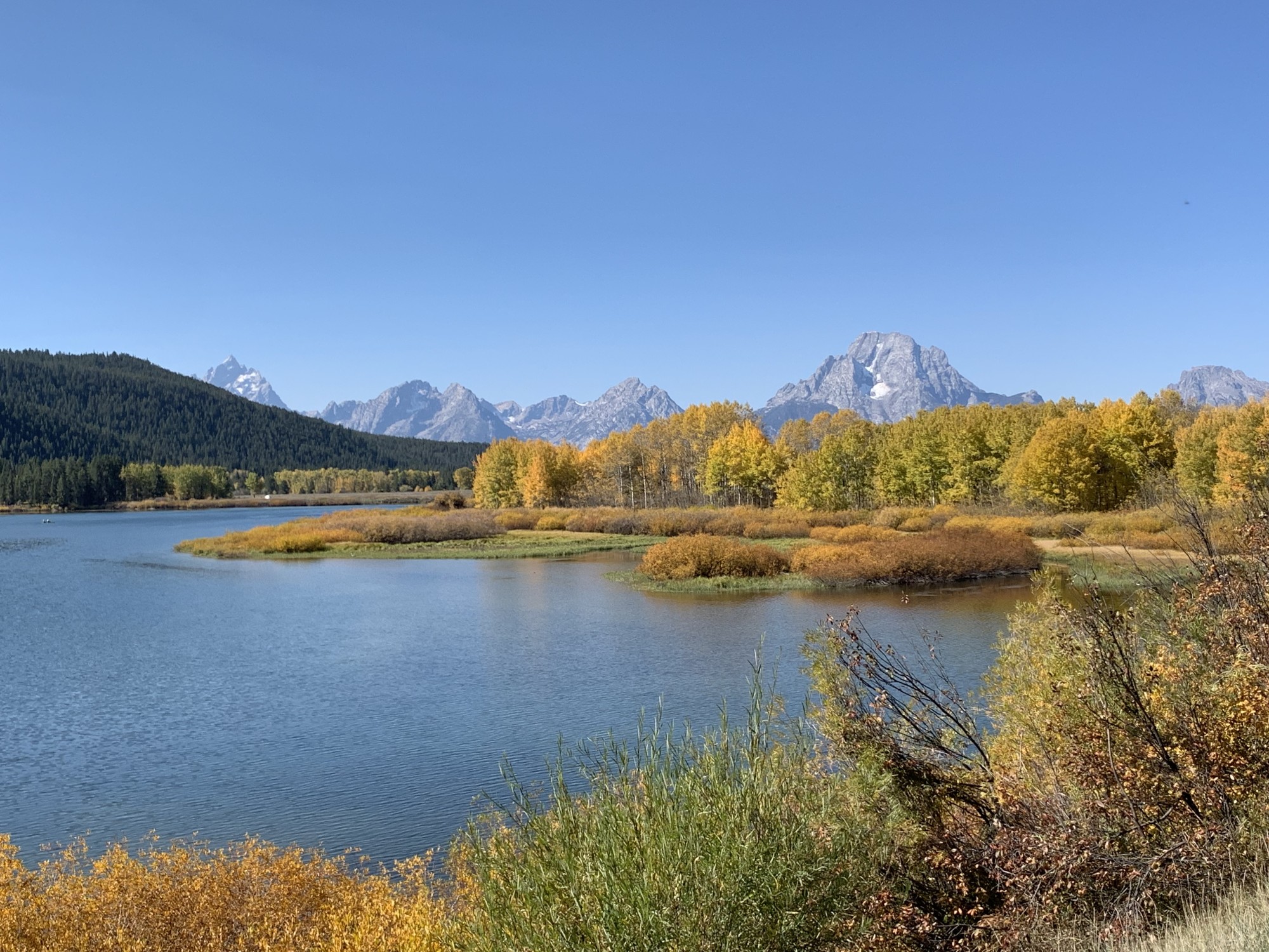 Things to Do in Jackson Hole During the Summer