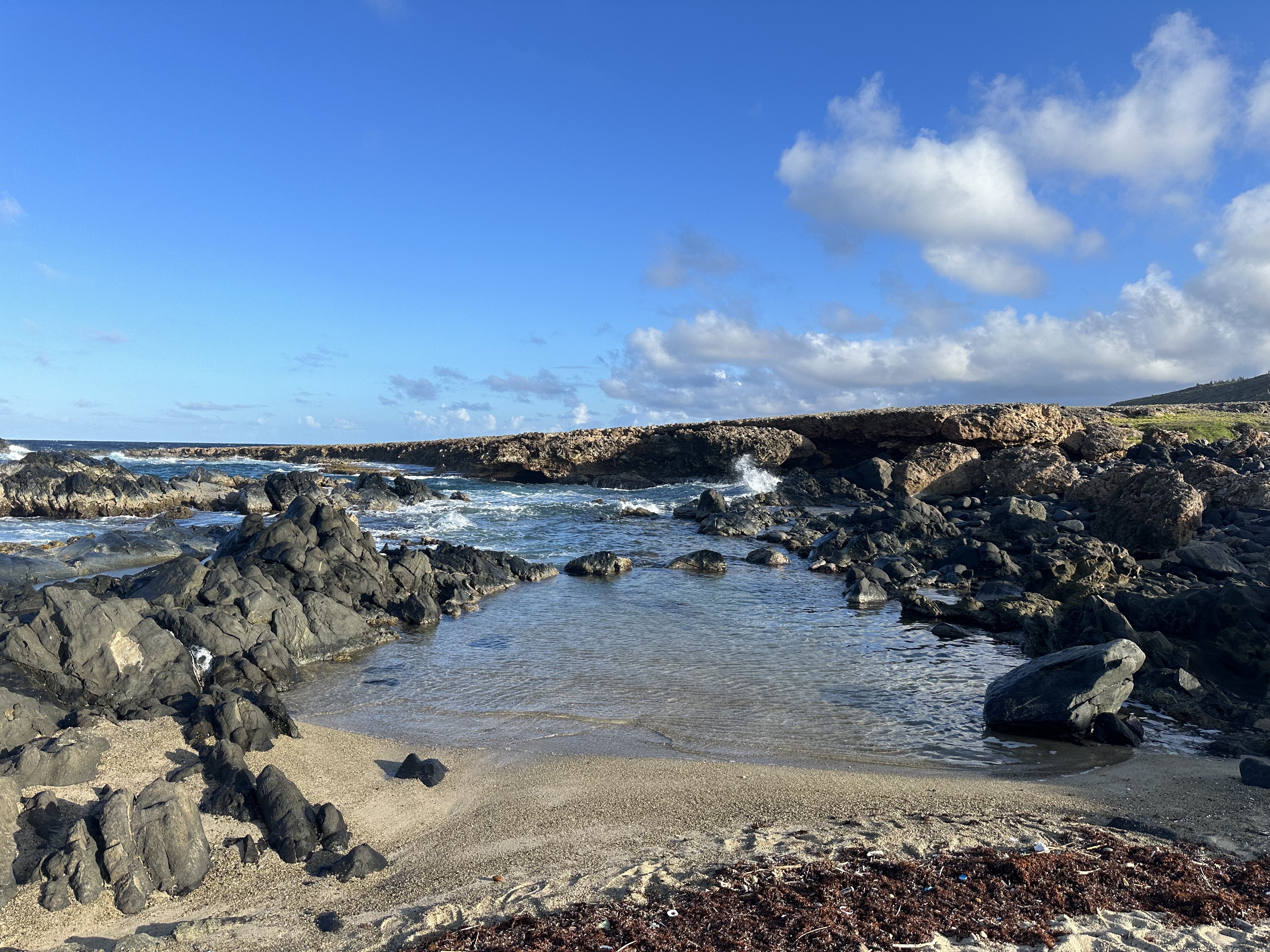 Aruba: The Ultimate Warm Getaway in January