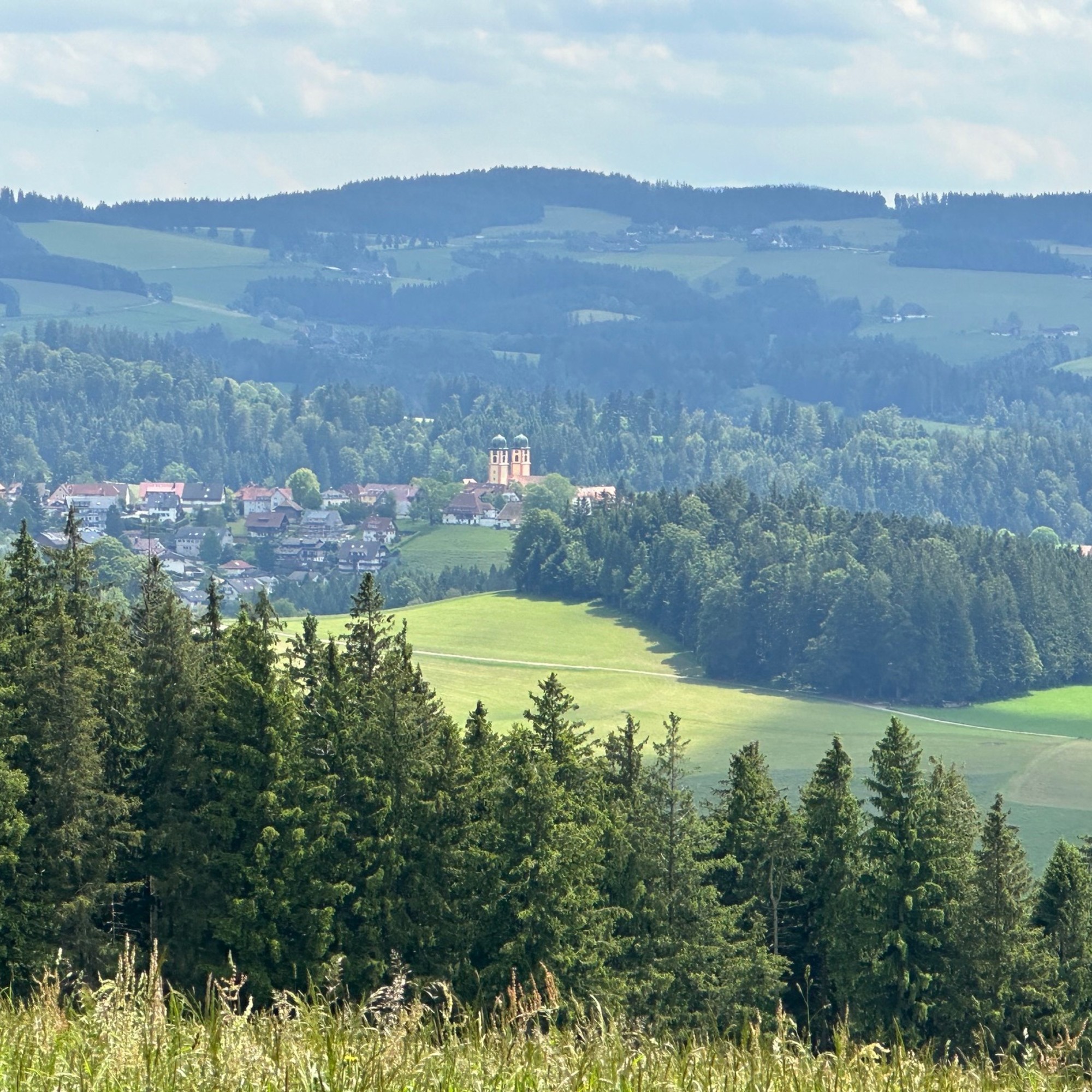 Jane Henzerling | Fora Travel